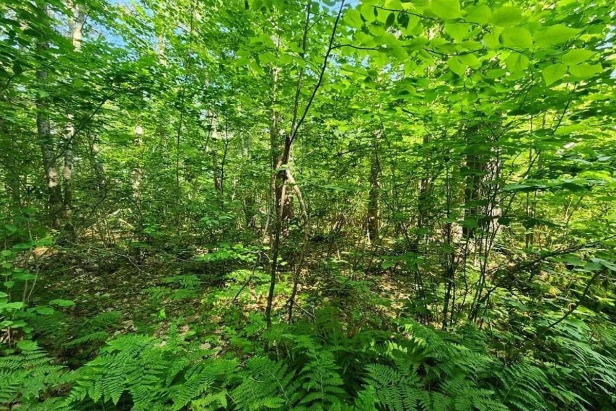 Gone Golfin, Garrison, MN 56450 | MLS: Mille Lacs 0.18 Acres, 09-969 ...
