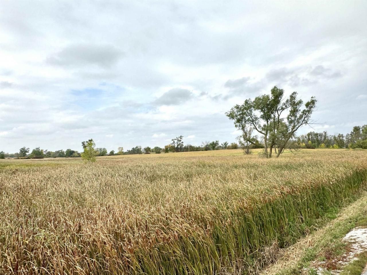 BUYARSKI Road A, Green Bay, WI 54311 | MLS: 50298946 | LandWatch