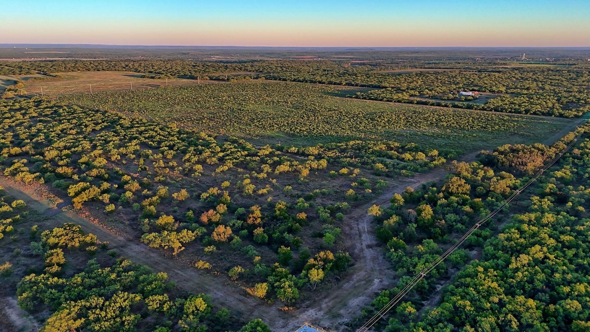 278 acres in Moran, TX, 76464 | LandWatch