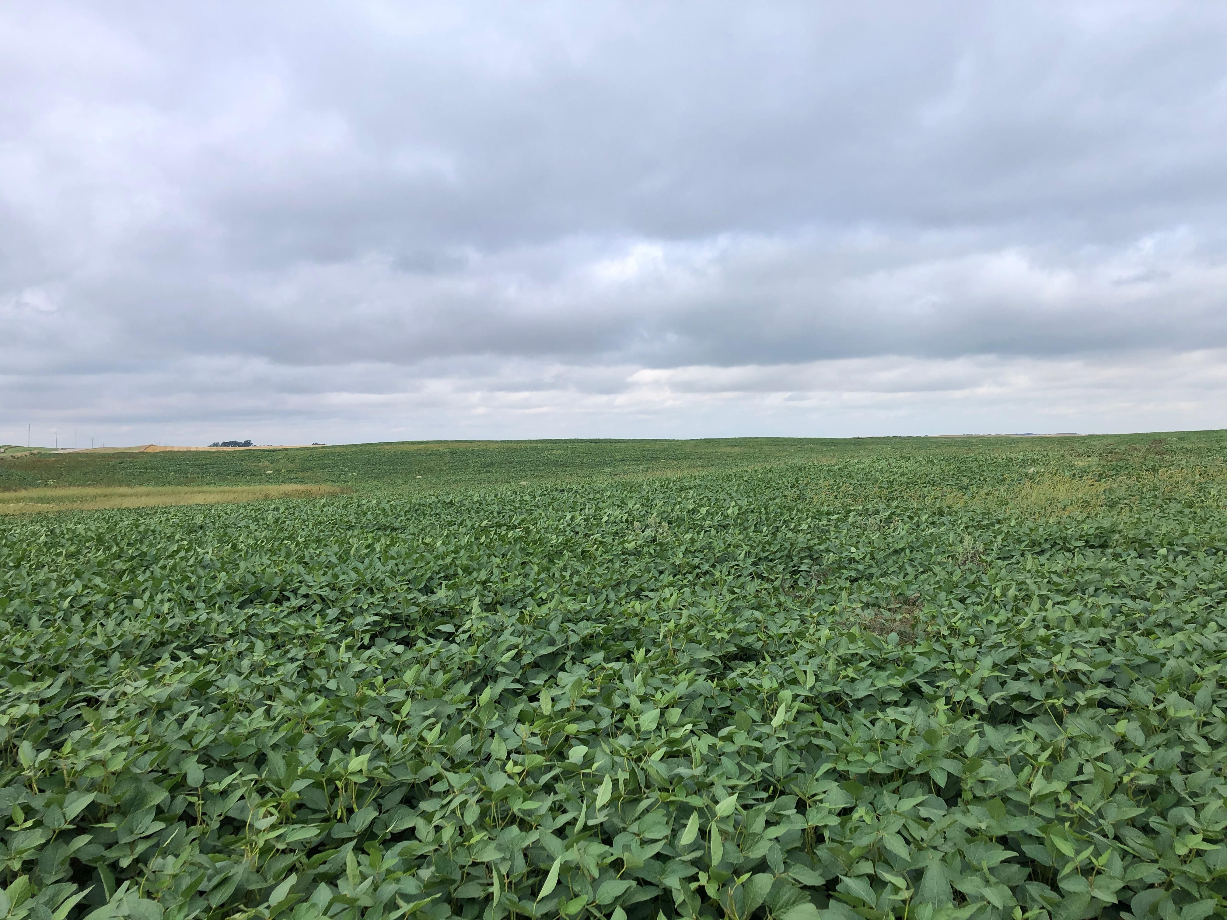 256.37 acres in Hurdsfield, ND, 58451 | LandWatch