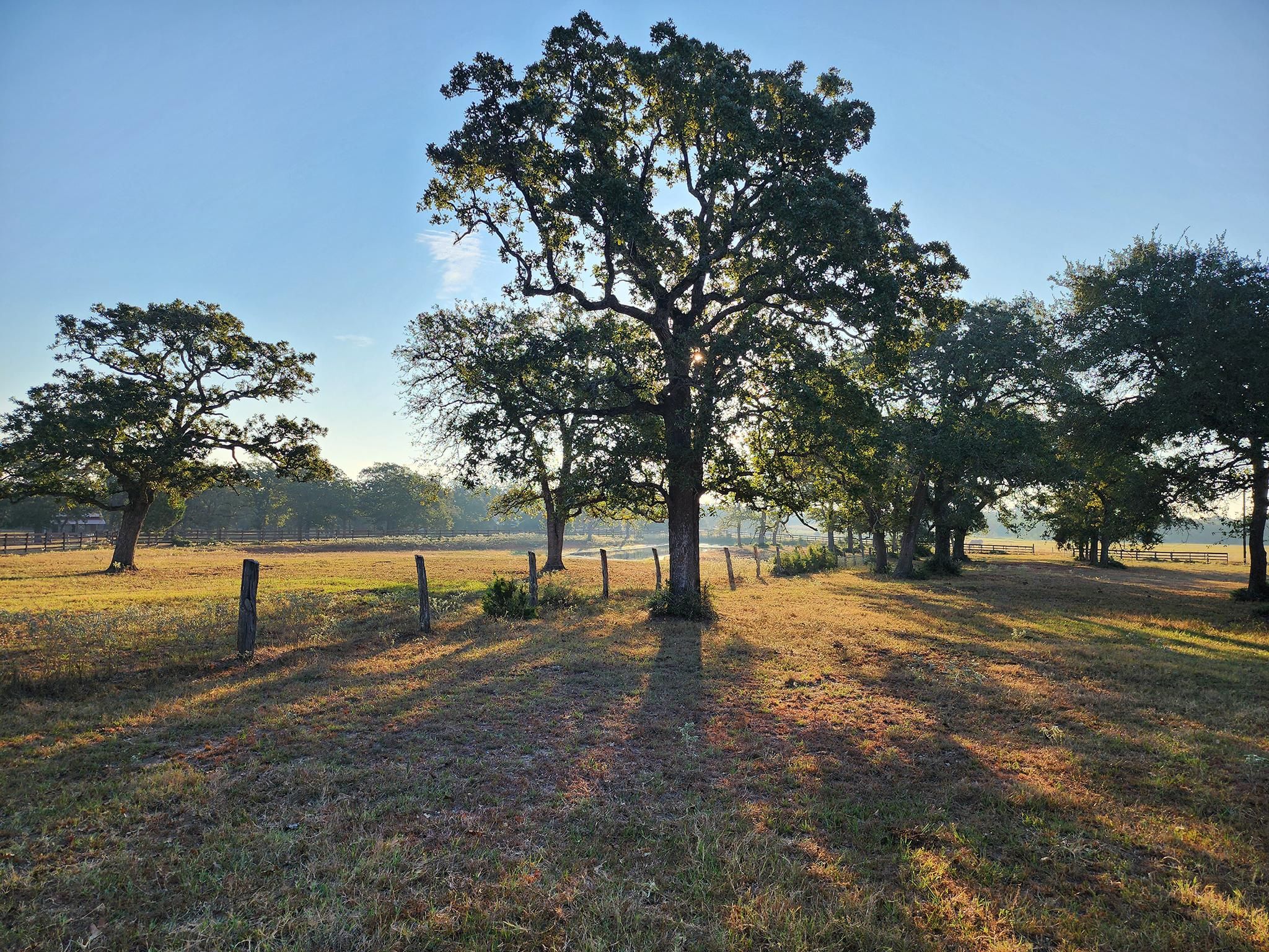 1070 Henneke Road, Cat Spring, TX 78933 | MLS: 98726103 | LandWatch