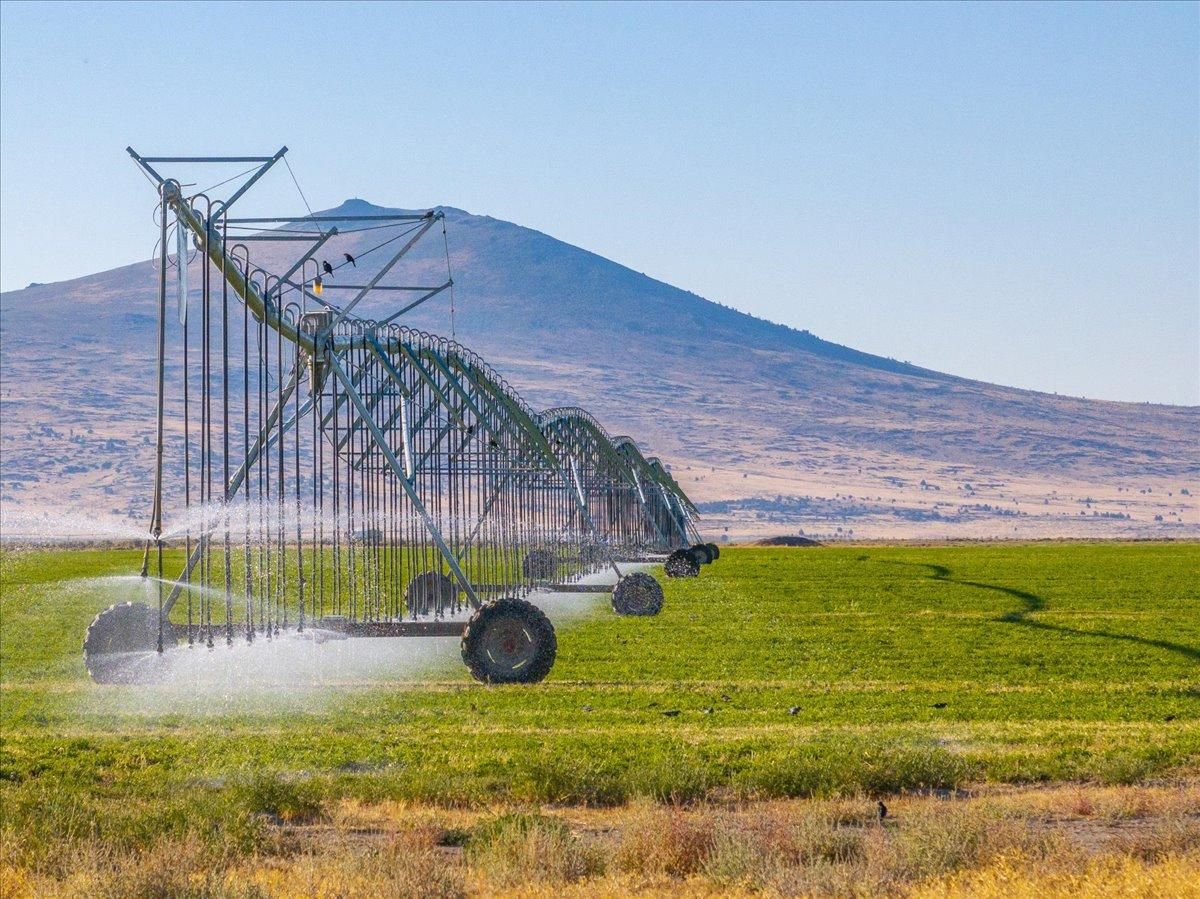 650 Tuledad Road, Ravendale, CA 96123 | LandWatch