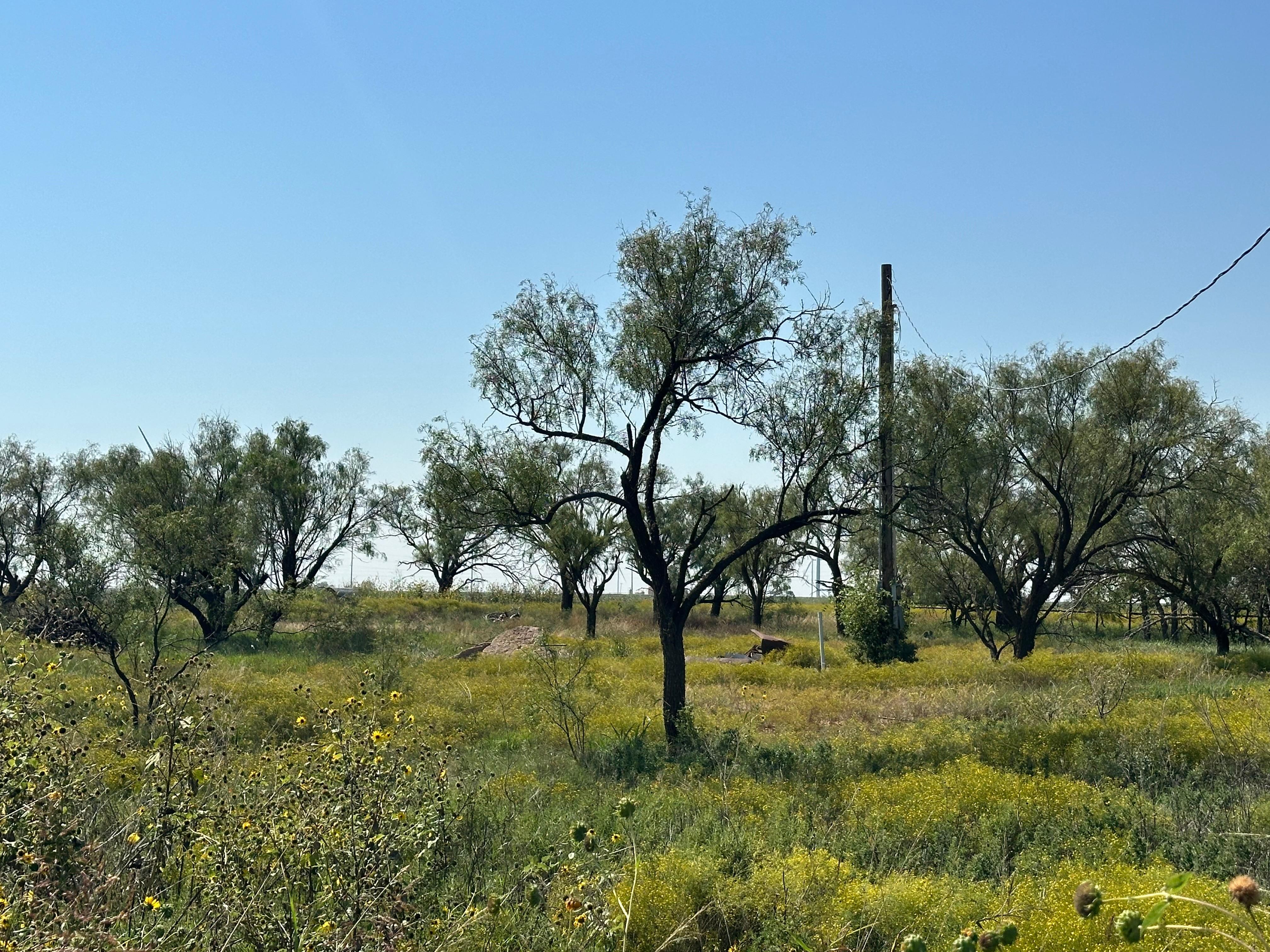 10 acres in Fluvanna, TX, 79517 | MLS: 154748 | LandWatch