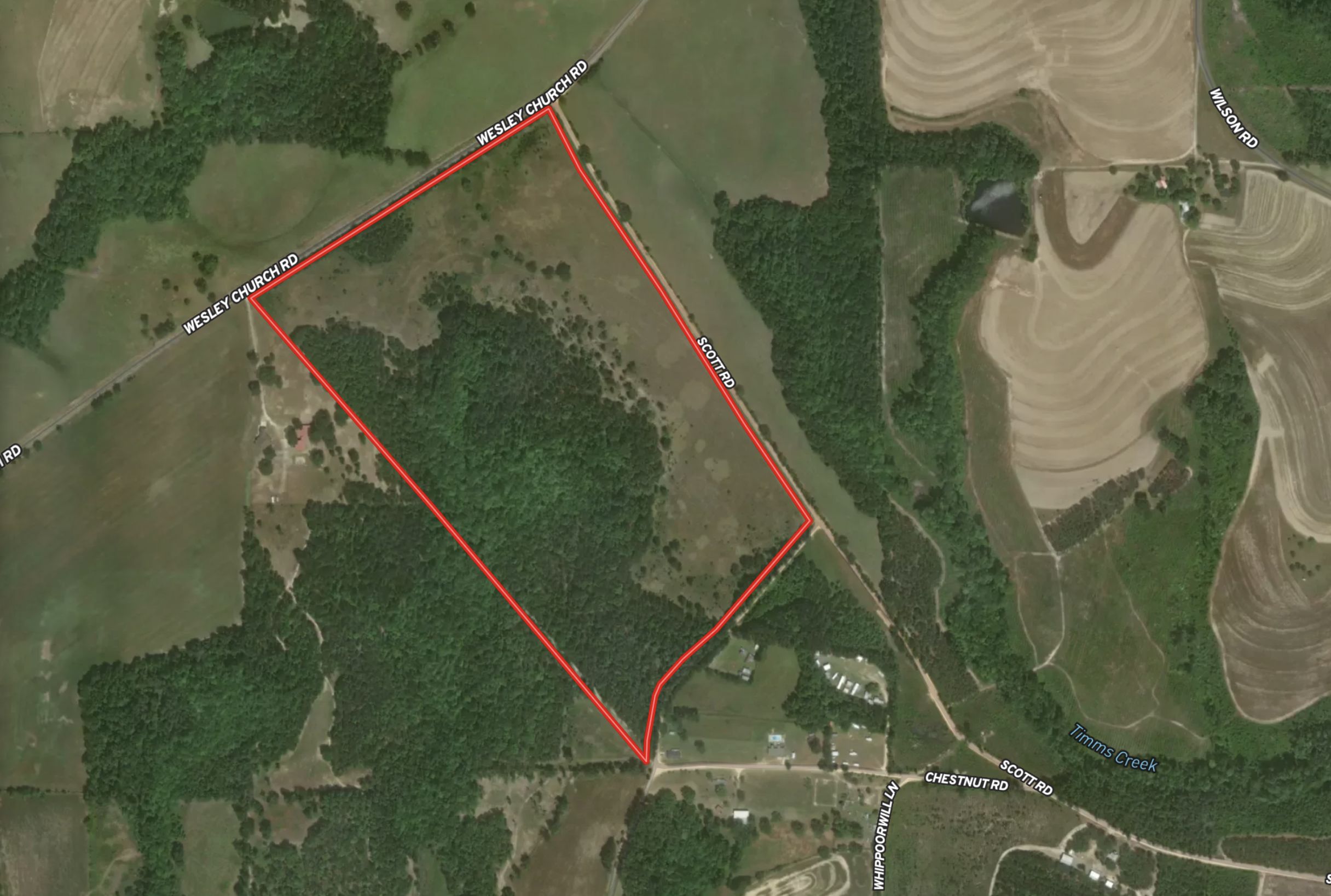 82 acres in Butler, GA, 31006 | LandWatch