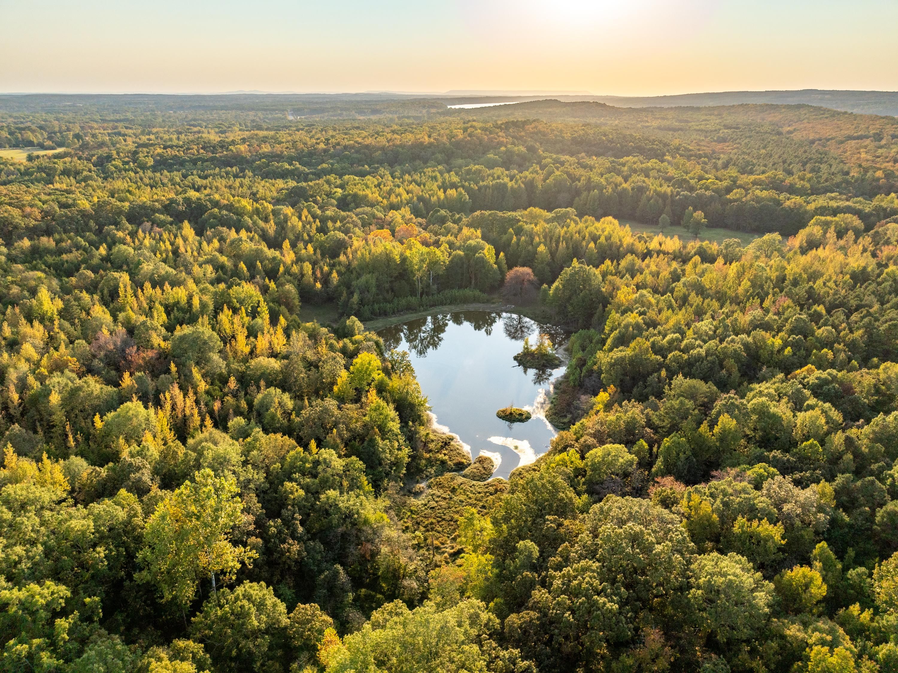 335-1 Creben Hill Road, Springfield, AR 72157 | LandWatch