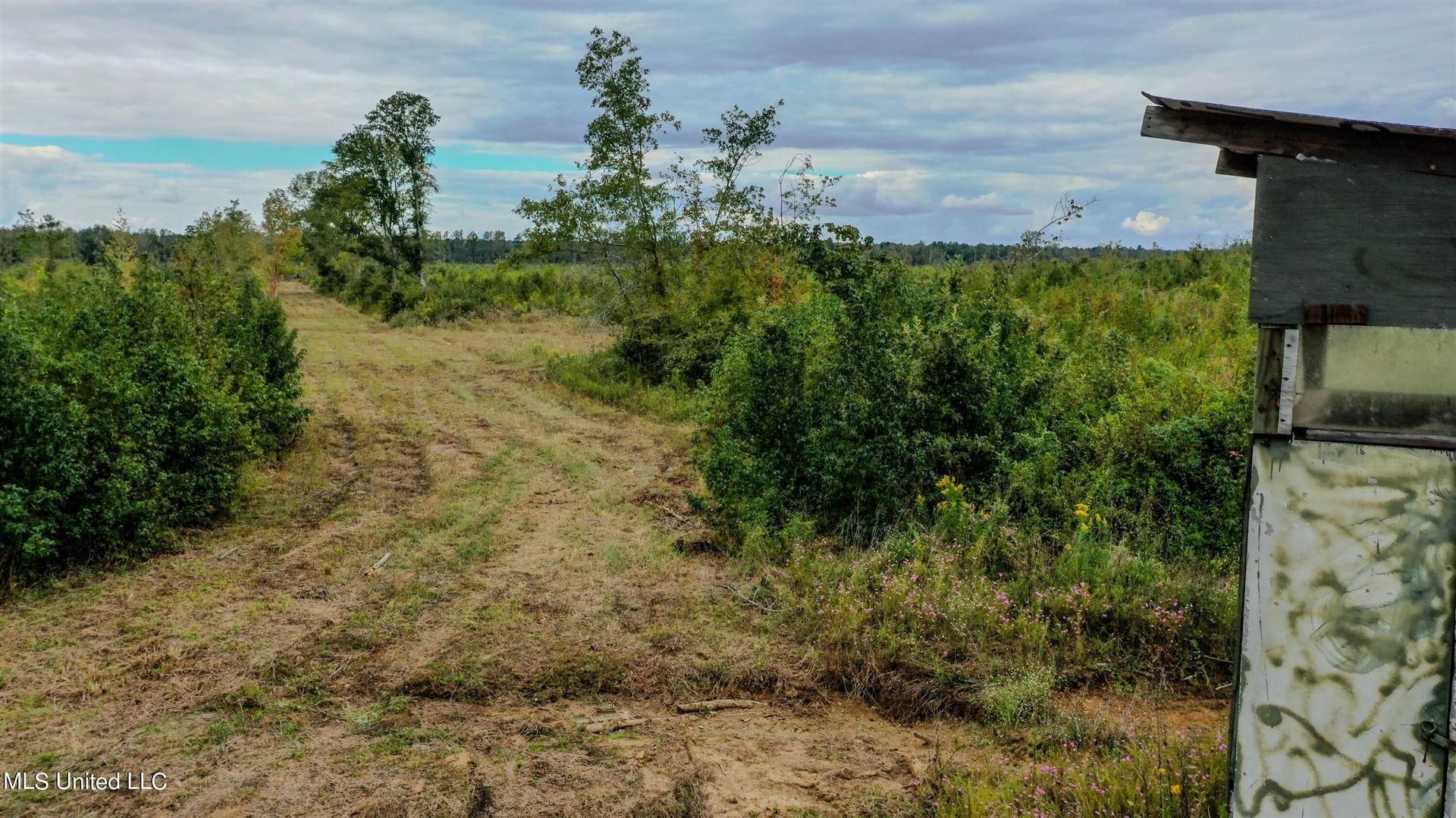 Red Dog Rd, Carthage, MS 39051 | MLS: 4093078 | LandWatch