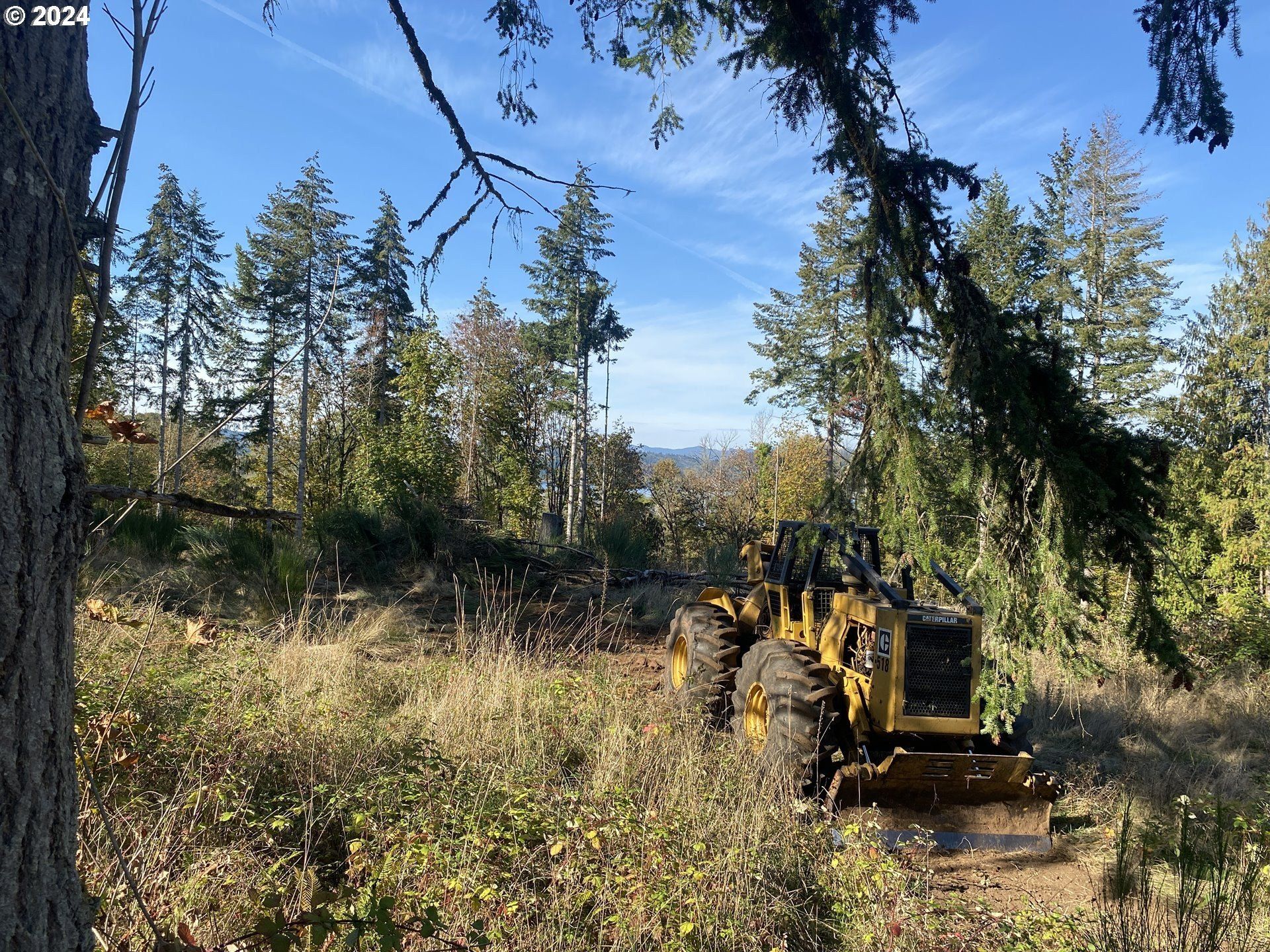 Quincy Mayger, Clatskanie, OR 97016 | MLS: 24516472 | LandWatch