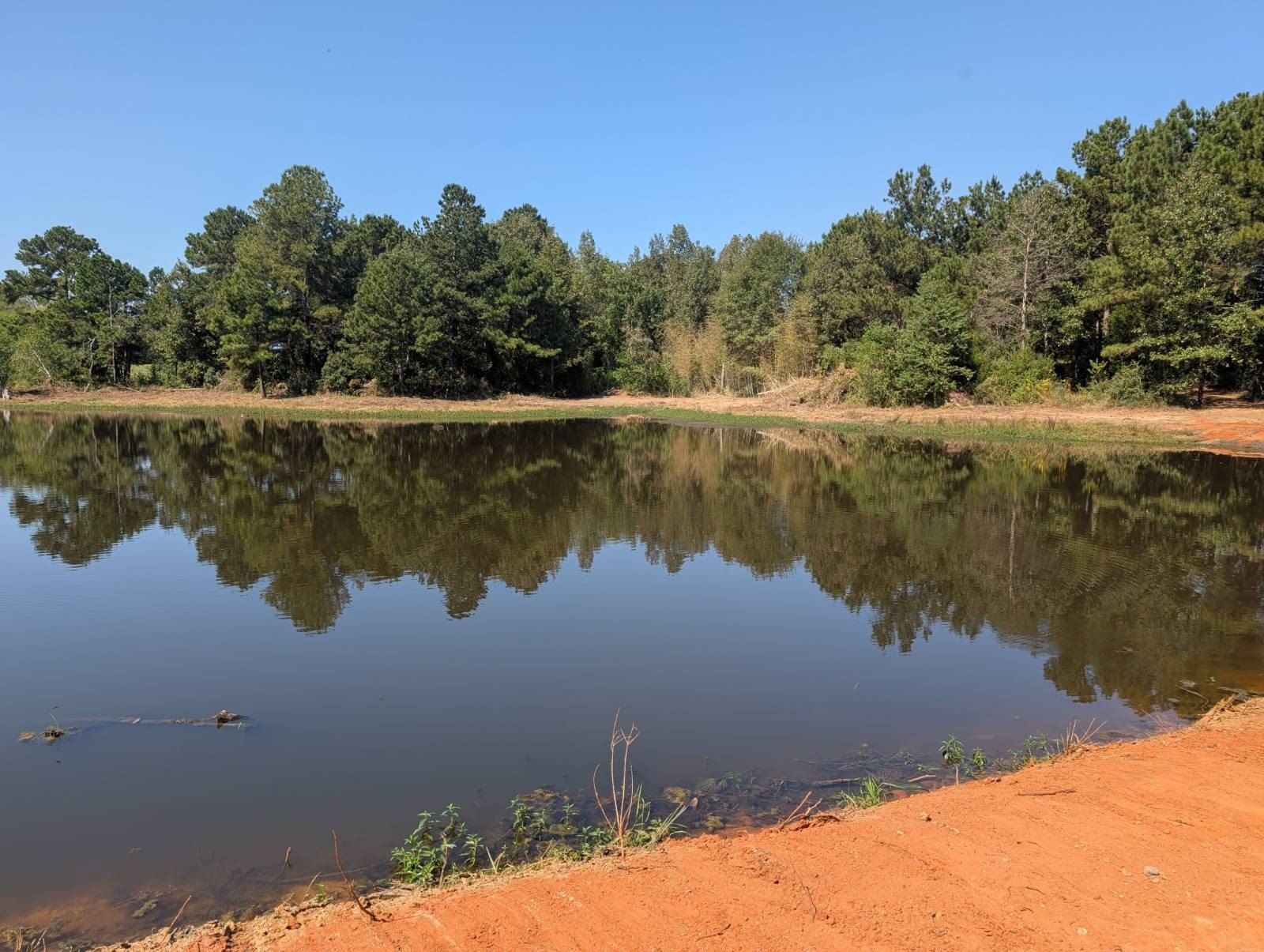 TBD FM 999, Gary, TX 75643 | MLS: 11353253 | LandWatch