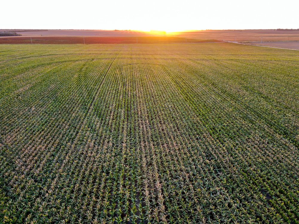 00000 W Boundary Road, Cunningham, KS 67035 | MLS: Reno 73.3 | LandWatch