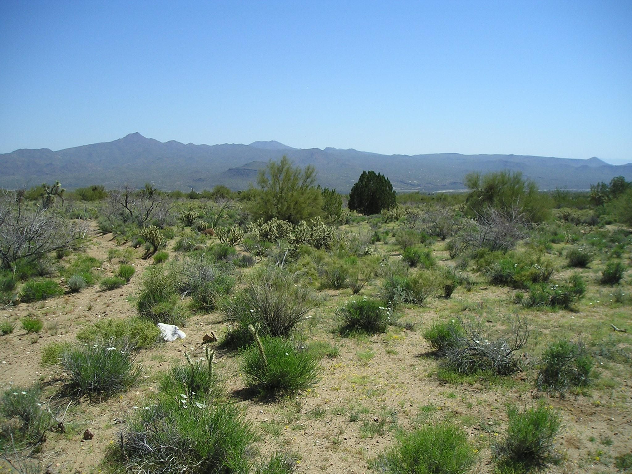 640 acres in Wikieup, AZ, 85360 | LandWatch