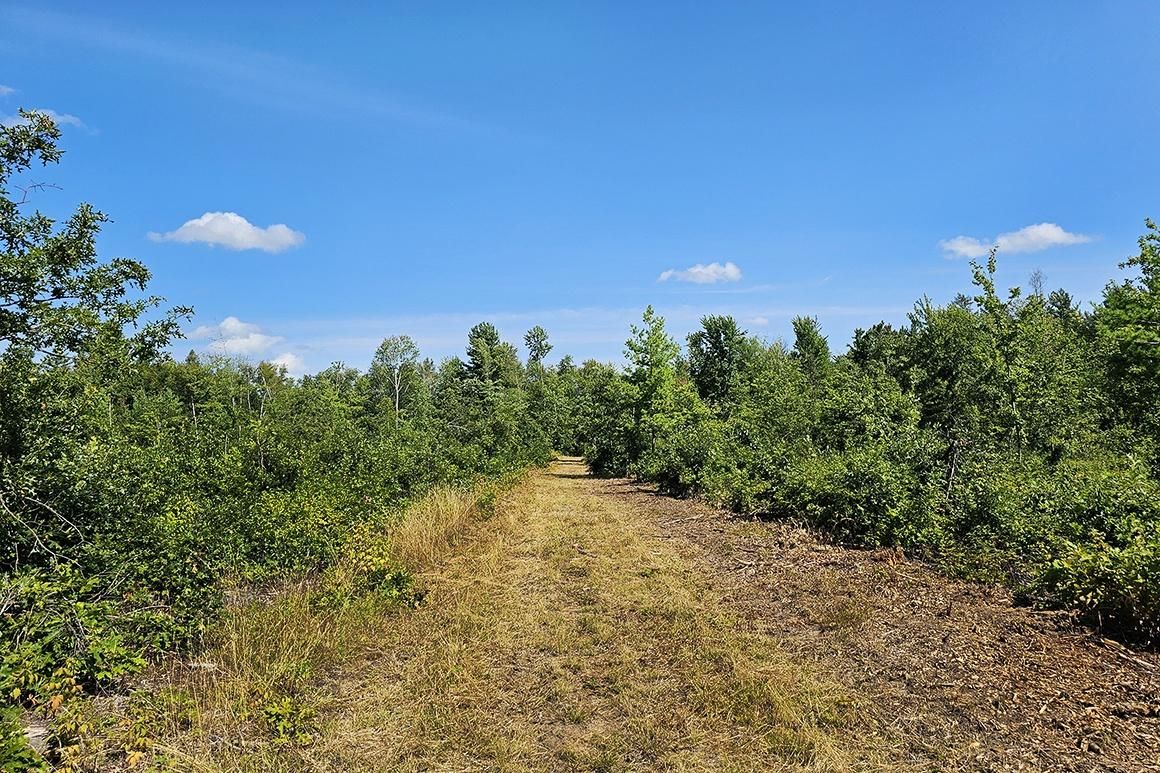 9.3 acres in Sand Creek, WI, 54757 | LandWatch