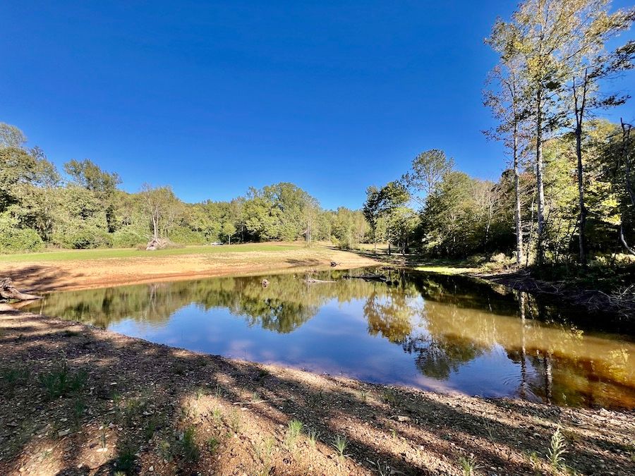 Dr. Jenkins Lane, Lot#WP001, Altoona, AL 35952 | LandWatch