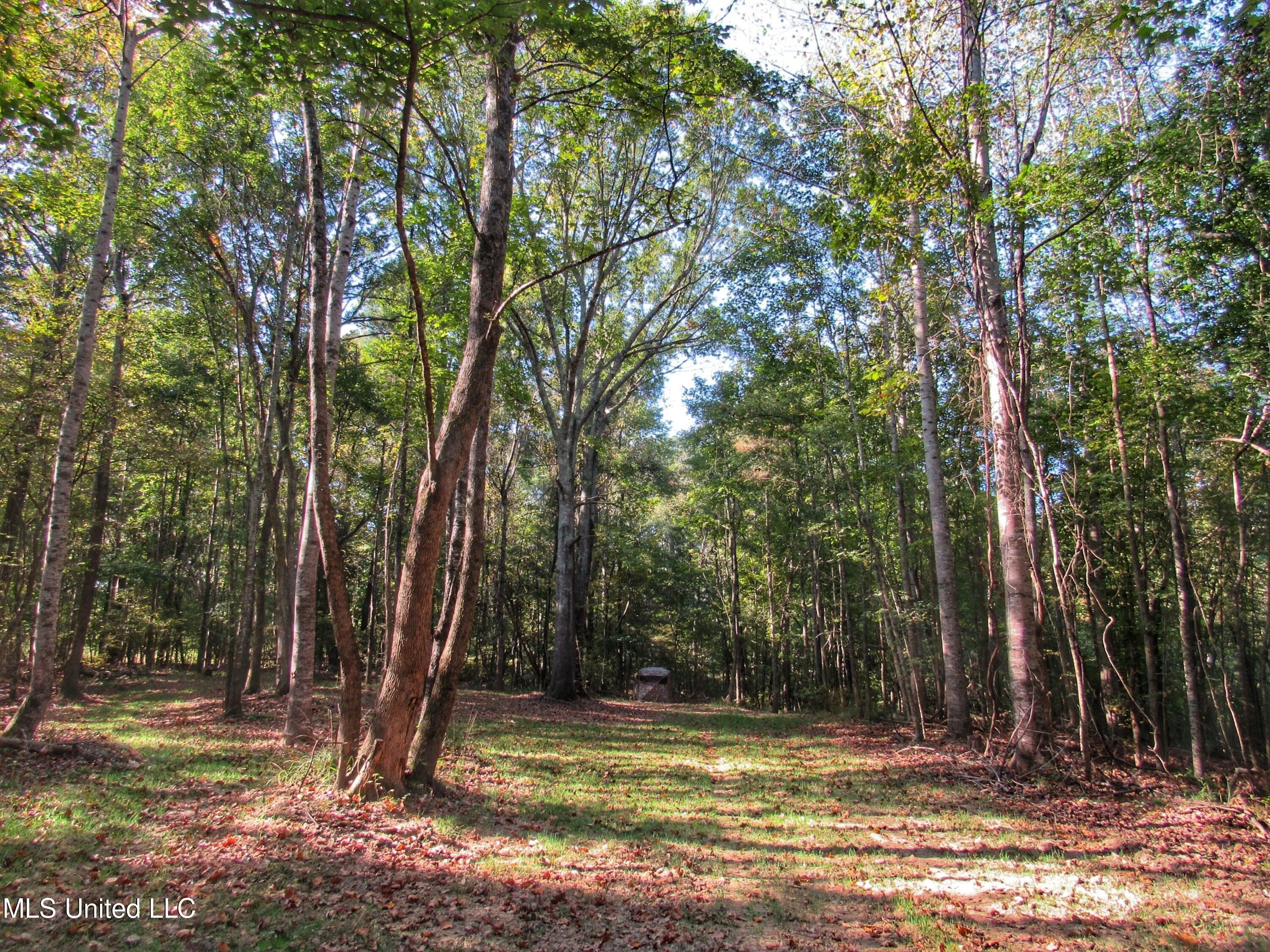 Anding Oil City Road, Bentonia, MS 39040 | MLS: 4094514 | LandWatch