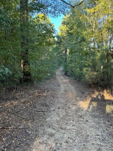 McBride /Hudson Rd, Pattison, MS 39144 | MLS: 143374 | LandWatch