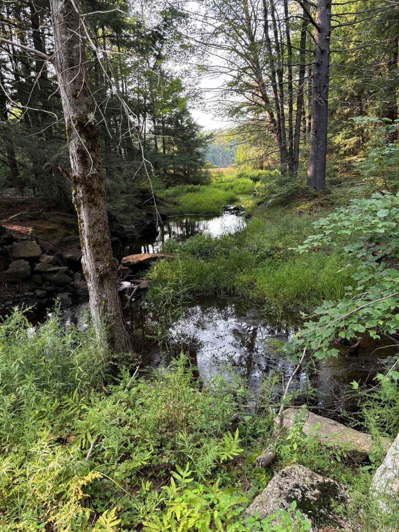 0 Access Road, Chesterfield, NH 03443 | MLS: 5018350 | LandWatch