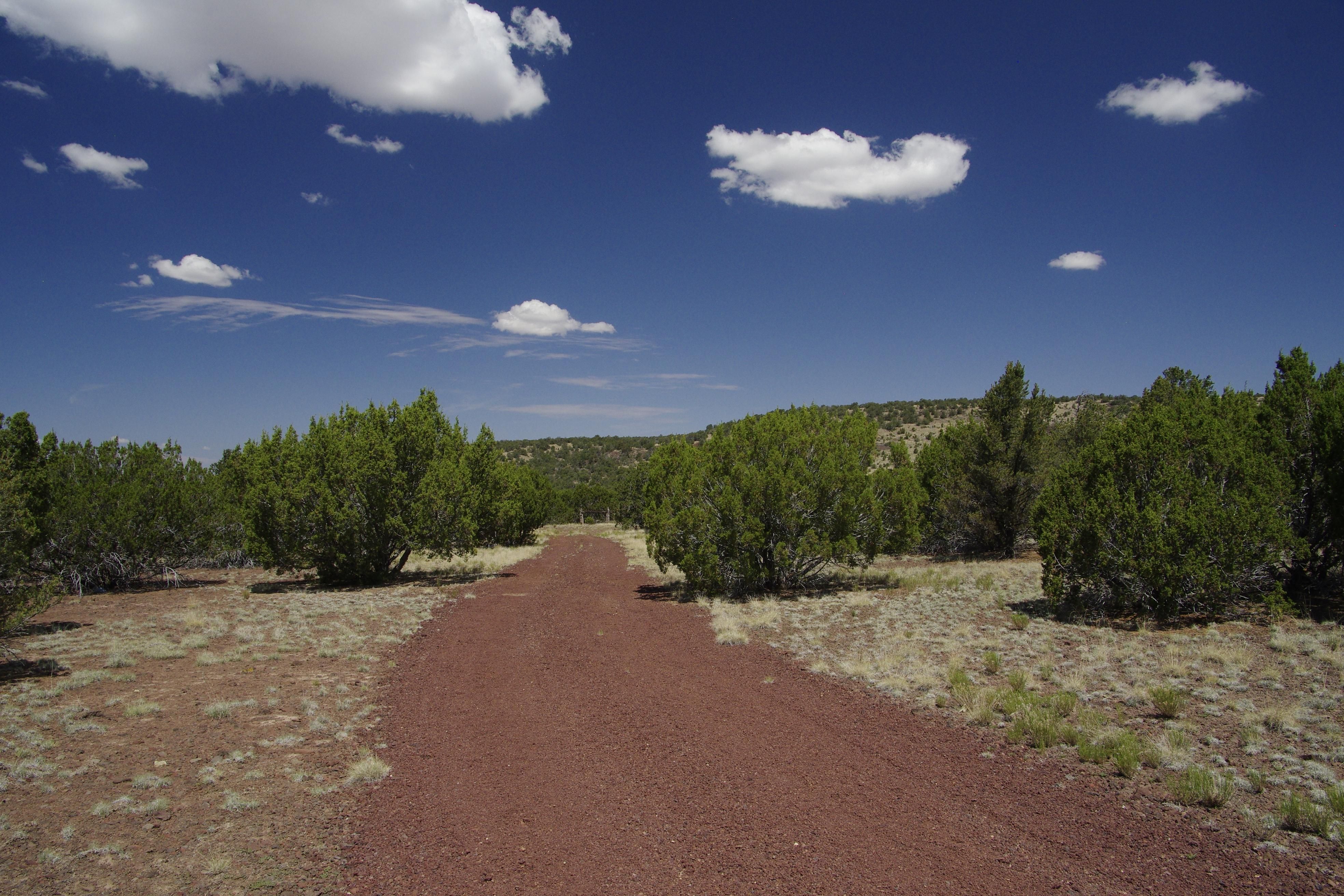 2870 E Forest Service 736 Rd, Williams, AZ 86046 | LandWatch