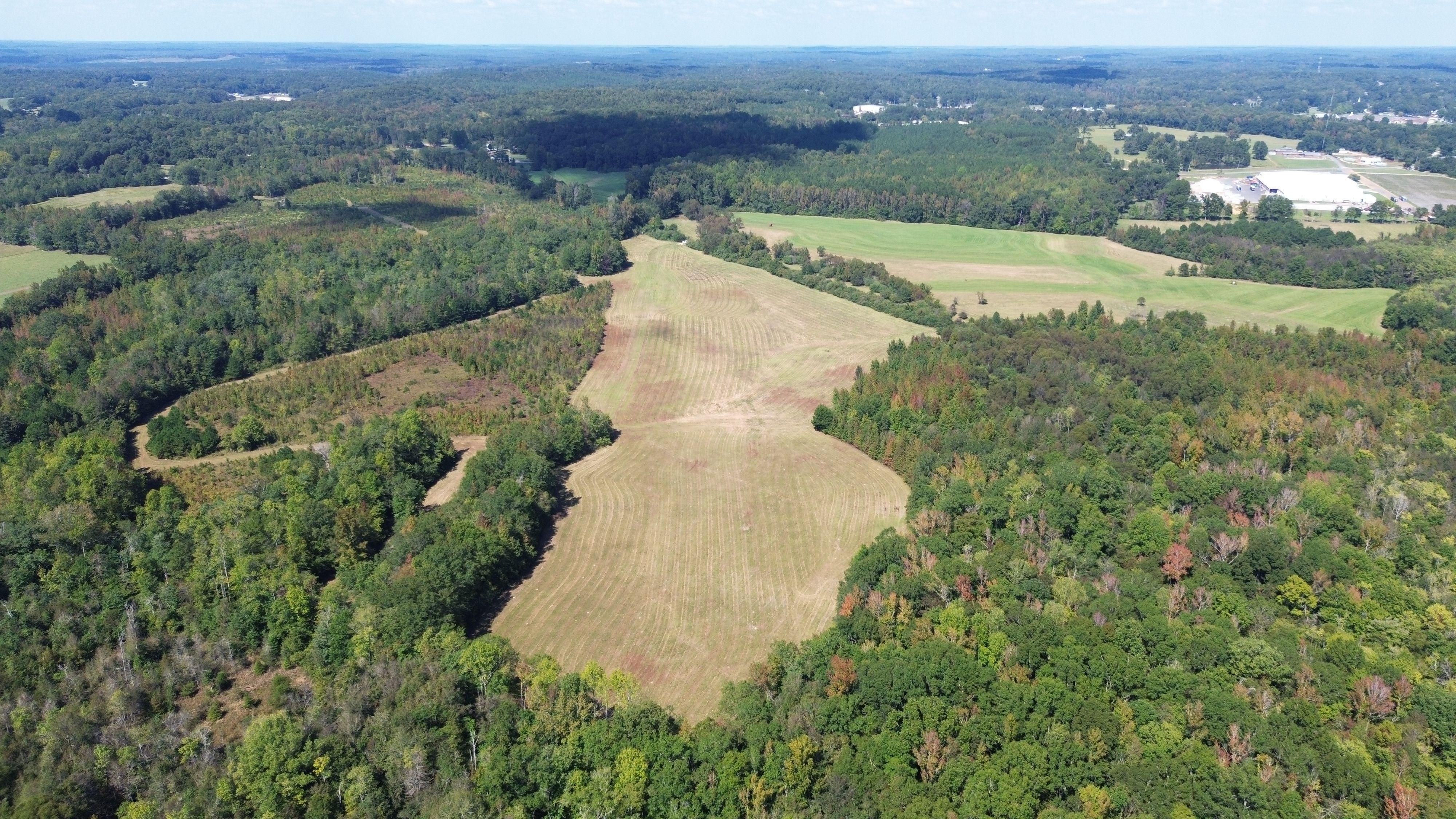 1199 County Road 9, Vernon, AL 35592 | LandWatch