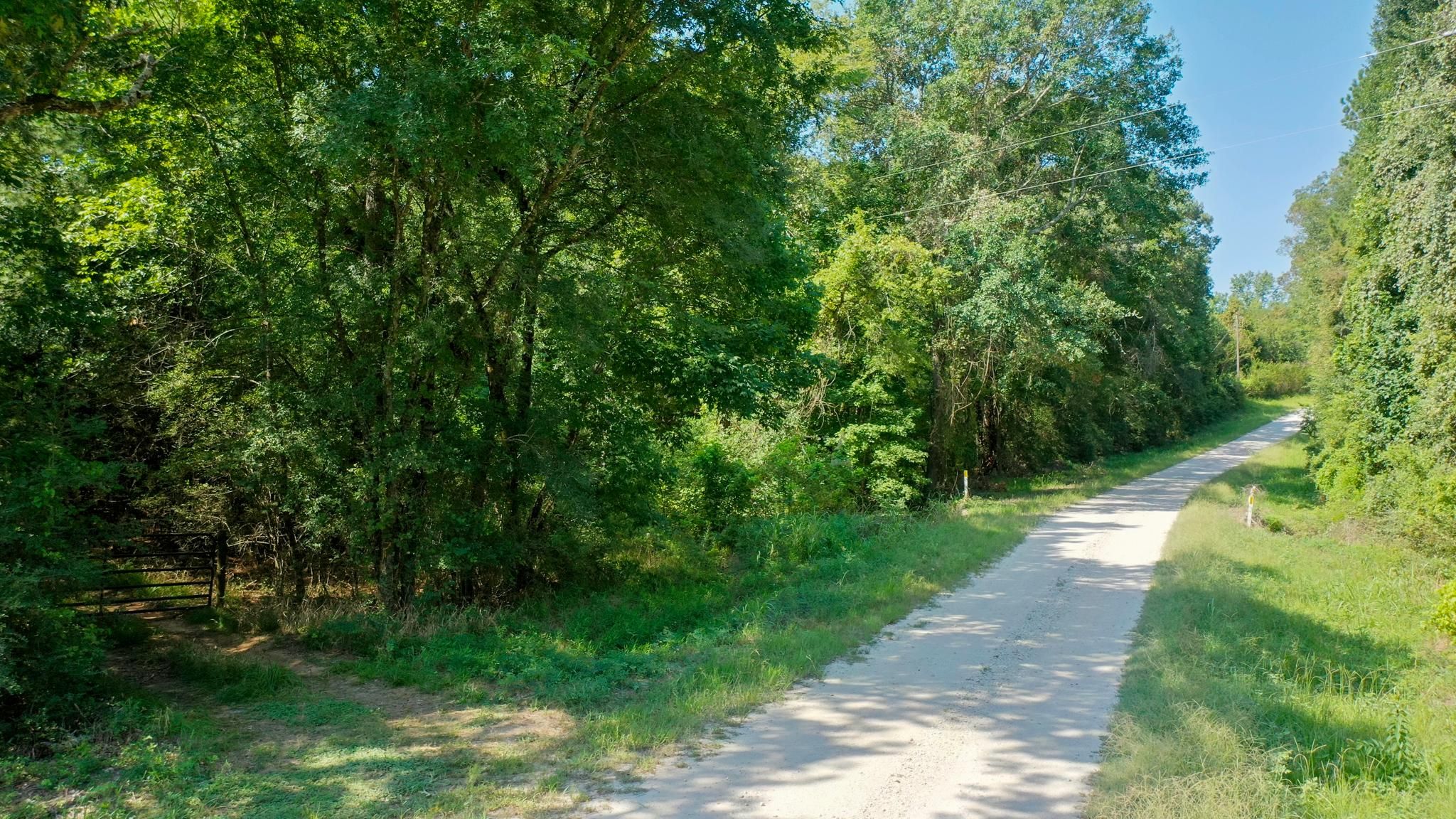 TBD County Road 134, Centerville, TX 75850 | MLS: 48244476 | LandWatch