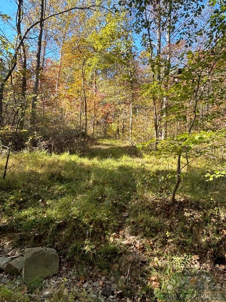 Mount Summit Road, Chester, IL 62233 | LandWatch