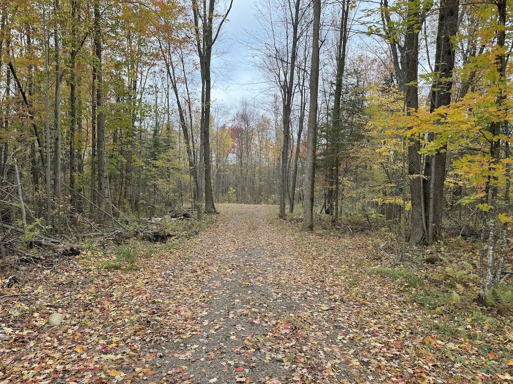 W 6XXX Snafu Road, Conrath, WI 54731 | MLS: 1586645 | LandWatch