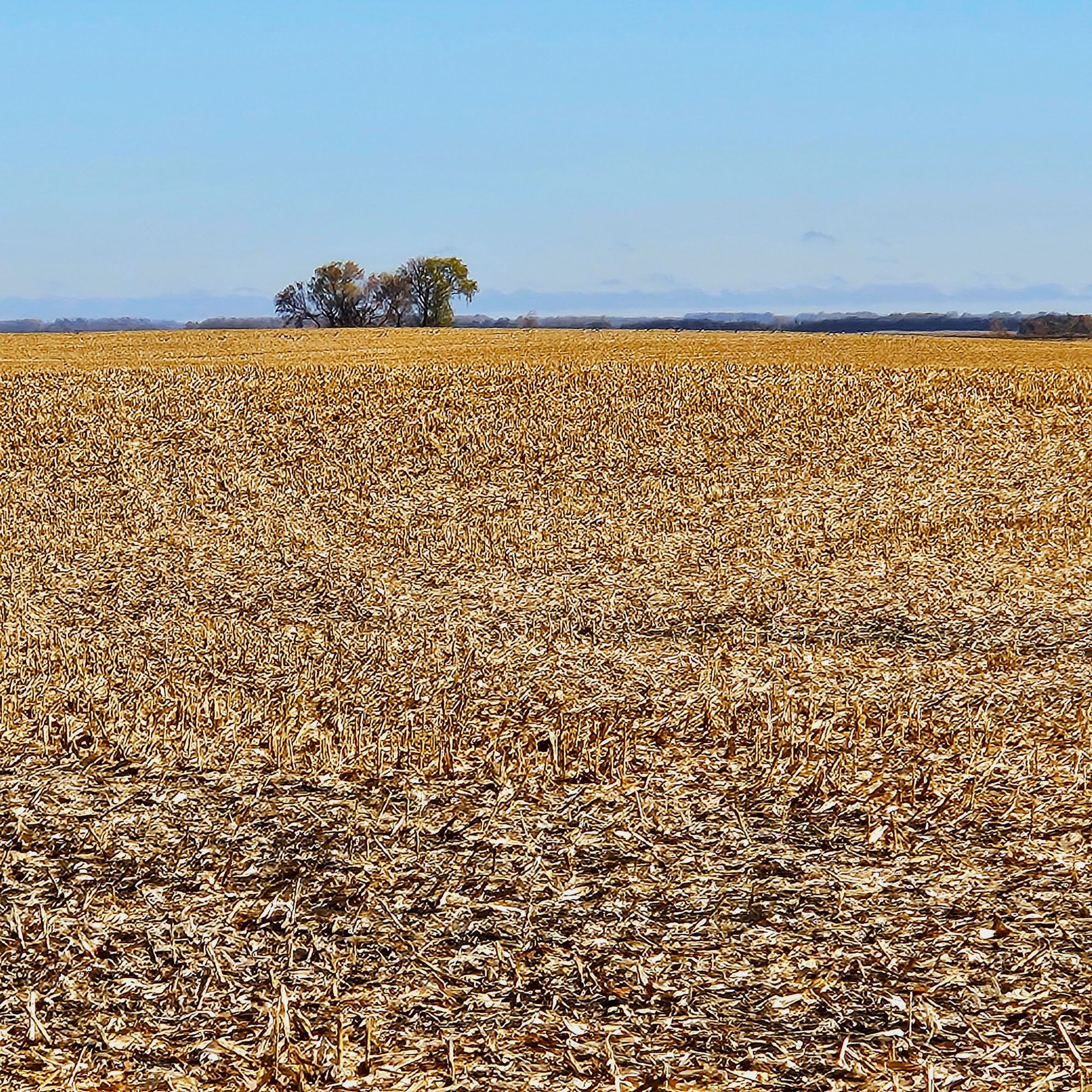 160 acres in Finley, ND, 58230 | LandWatch