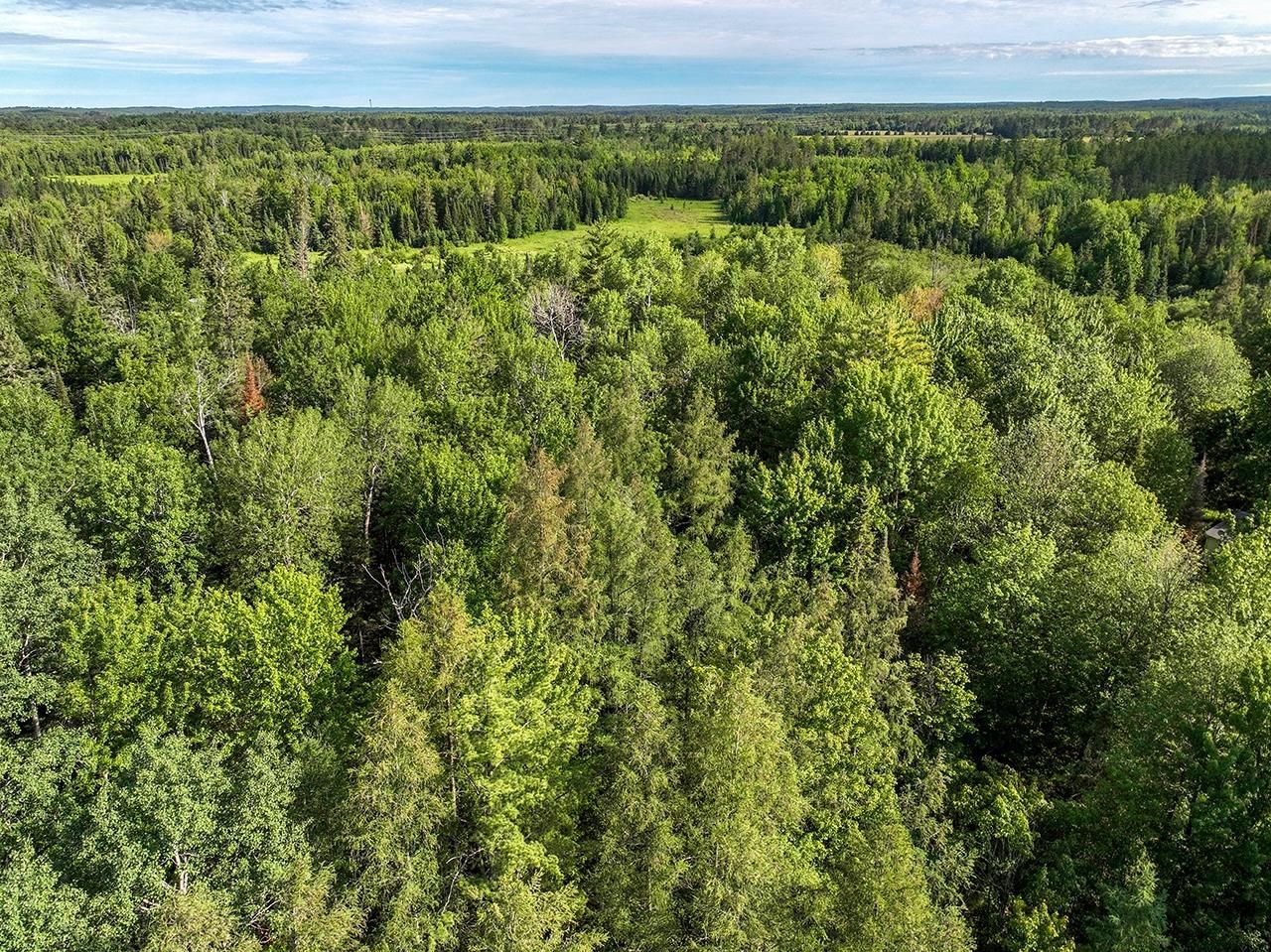 Grundy Rd, Irma, WI 54442 | MLS: 207479 | LandWatch
