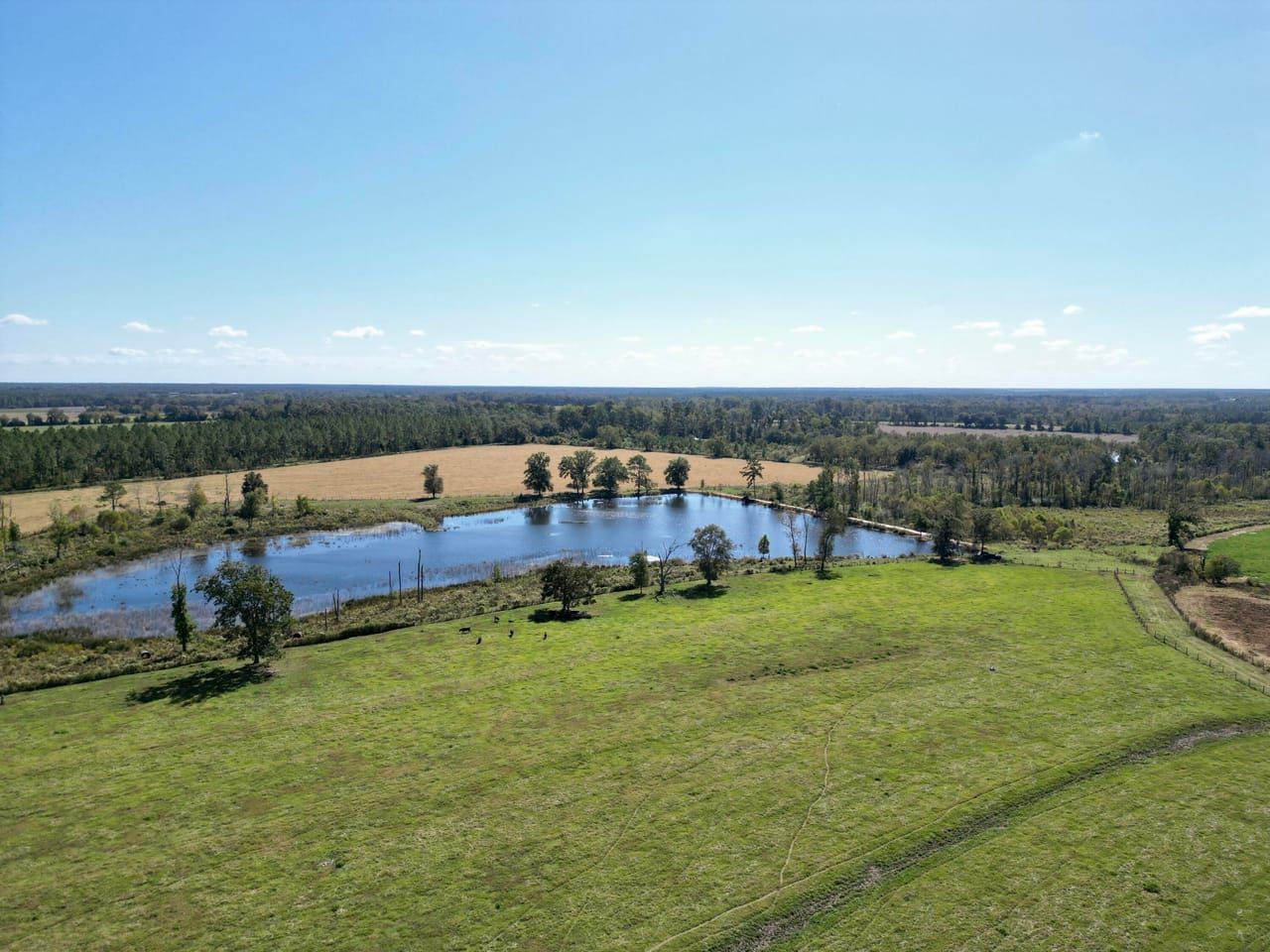 Whigham Rd, Whigham, GA 39897 | LandWatch