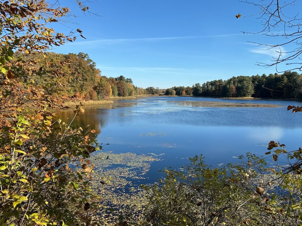 0 70th Ave, Turtle Lake, WI 54889 | MLS: 1586699 | LandWatch