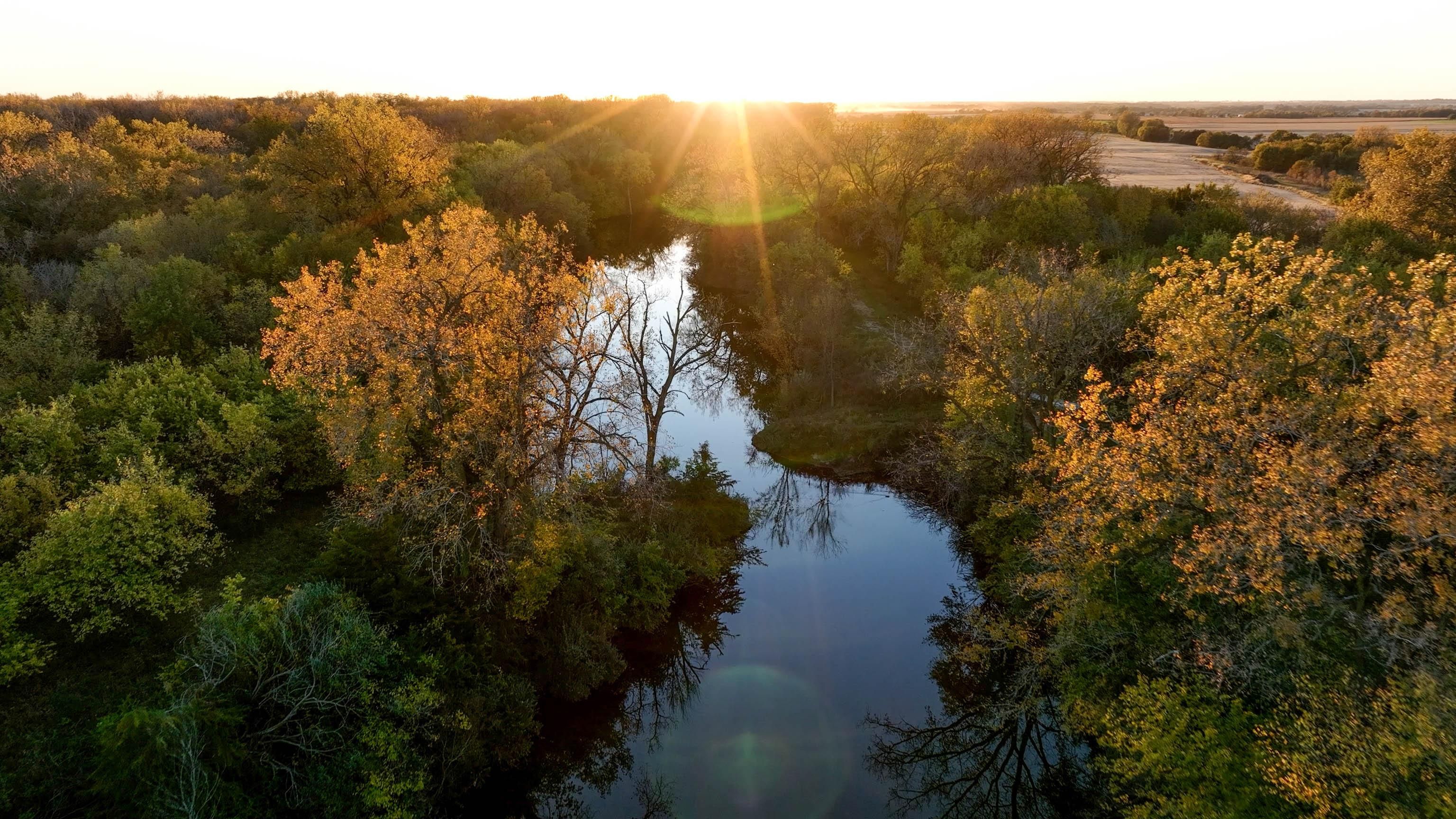 Knox Hwy 29, London Mills, IL 61458 | LandWatch