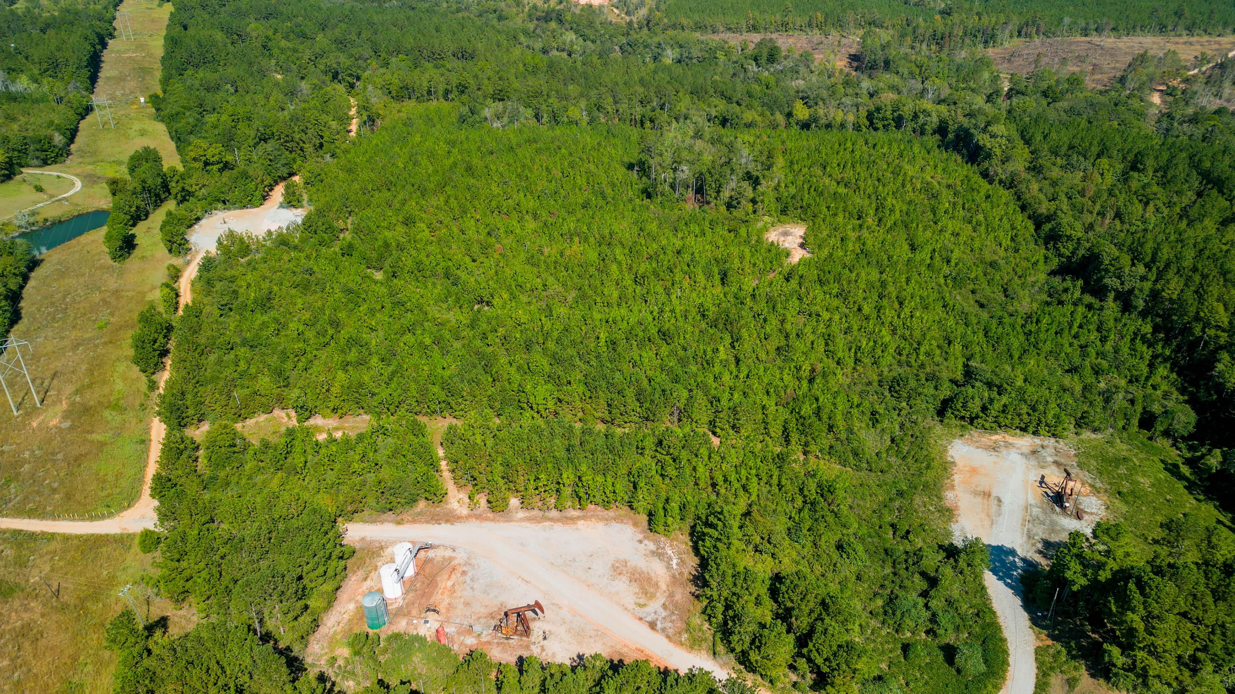 39.1 acres in Waynesboro, MS, 39367 | LandWatch