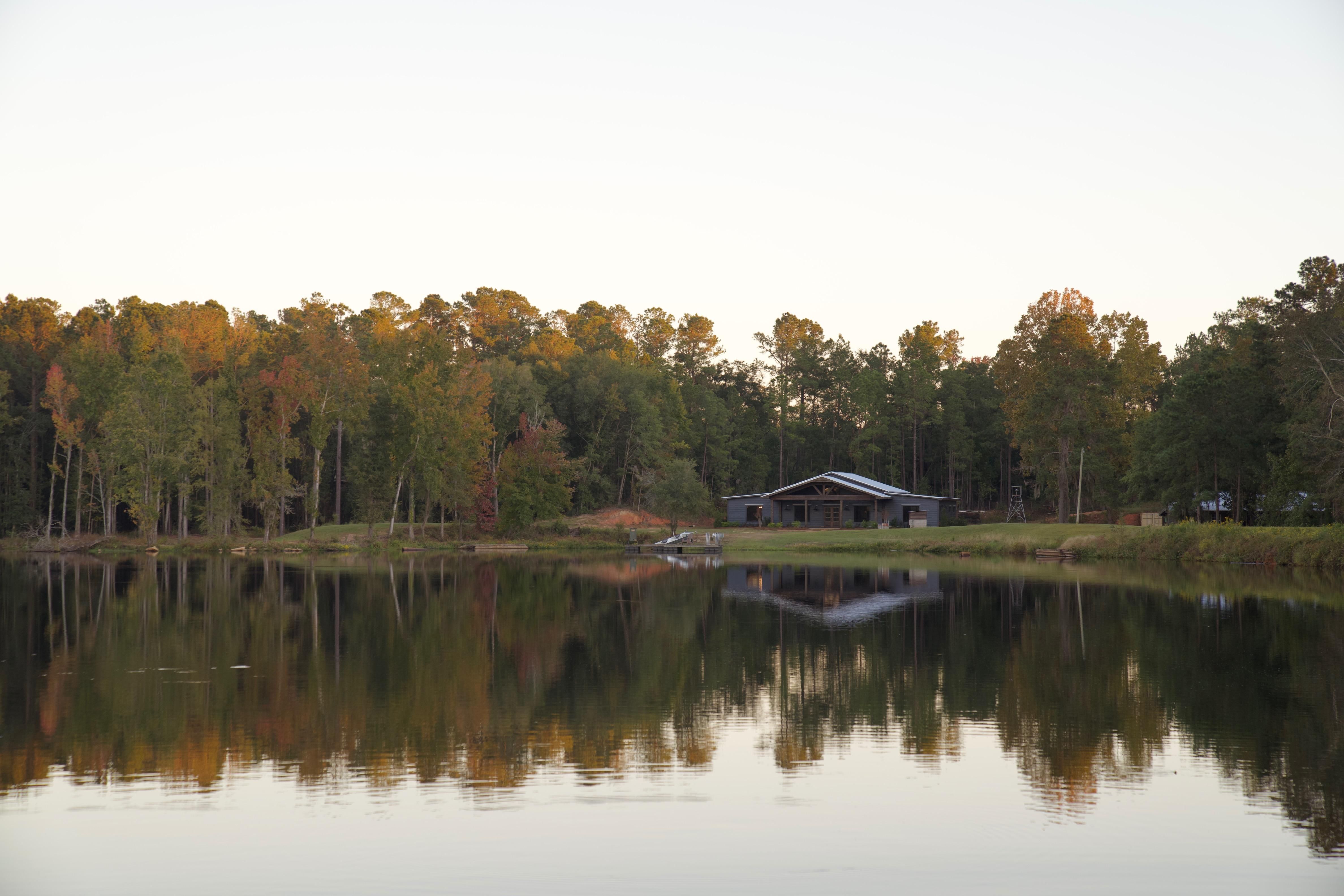 Pocotaligo Road, Fairfax, SC 29827 | LandWatch