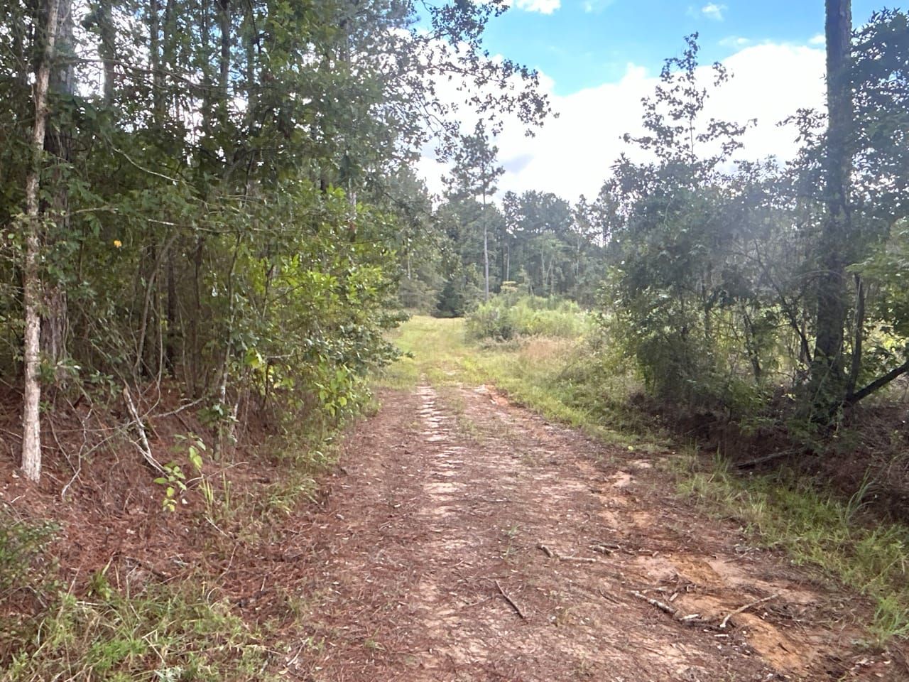 20 acres in Waldo, AR, 71770 | LandWatch