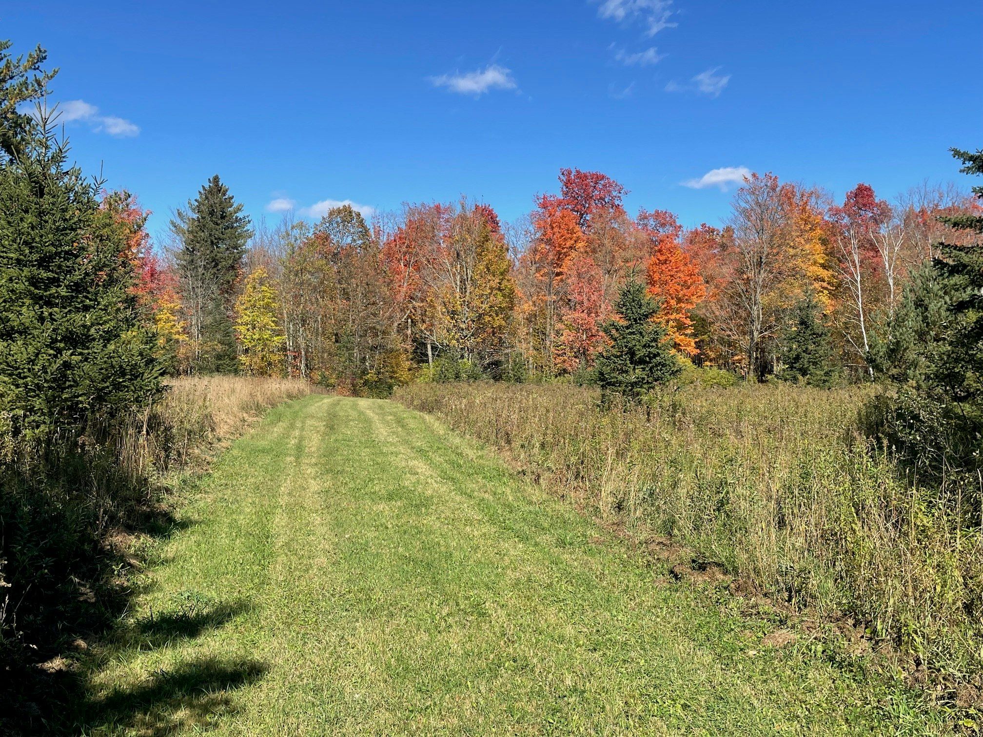 94 acres in Gleason, WI, 54435 | LandWatch