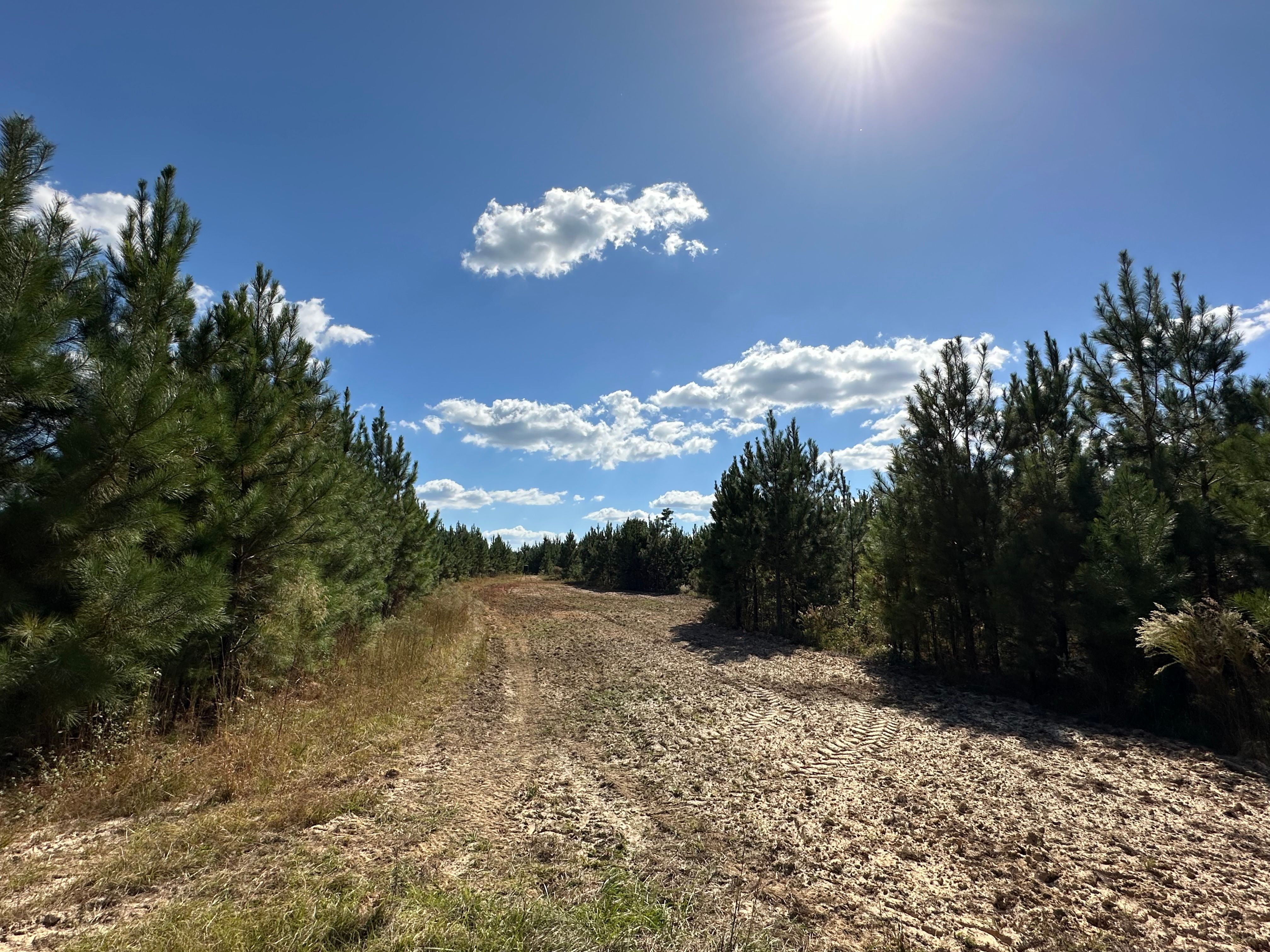 Highway 231, Pine Level, AL 36065 | LandWatch