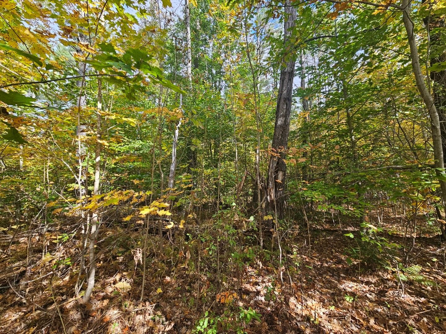 Mercer Road Map 7 Lot 21-1, Mercer, ME 04957 | LandWatch