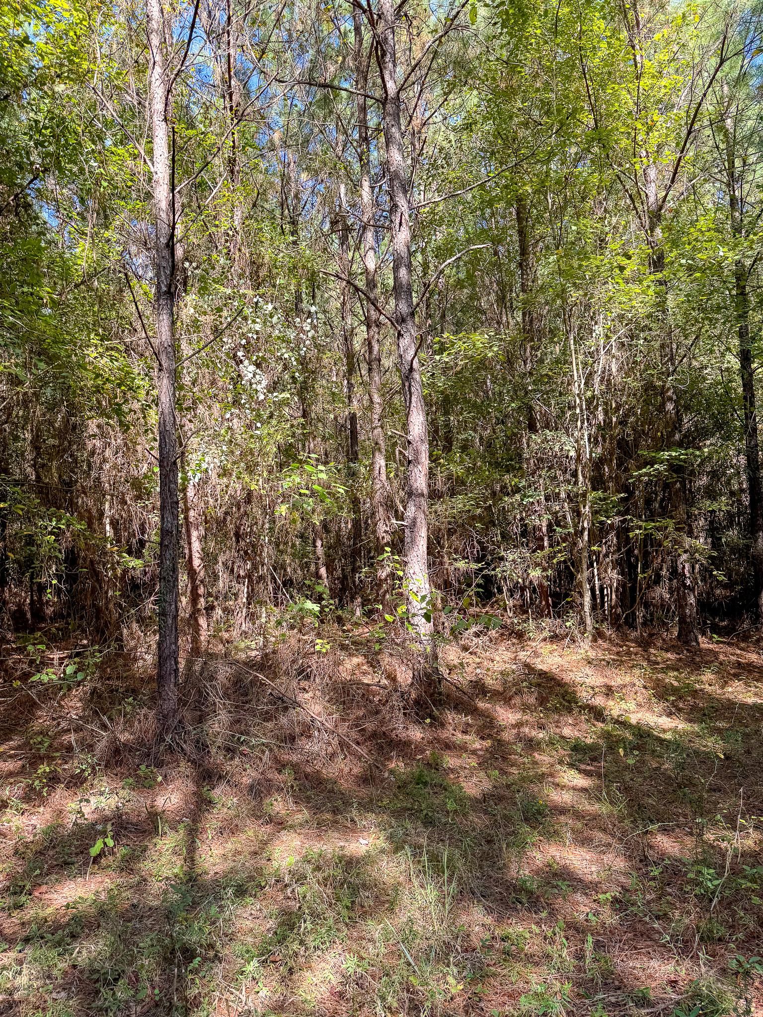80 acres in Strong, AR, 71765 | LandWatch