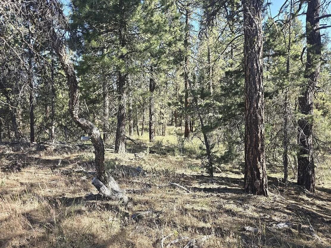 2.68 acres in Bonanza, OR, 97623 | LandWatch