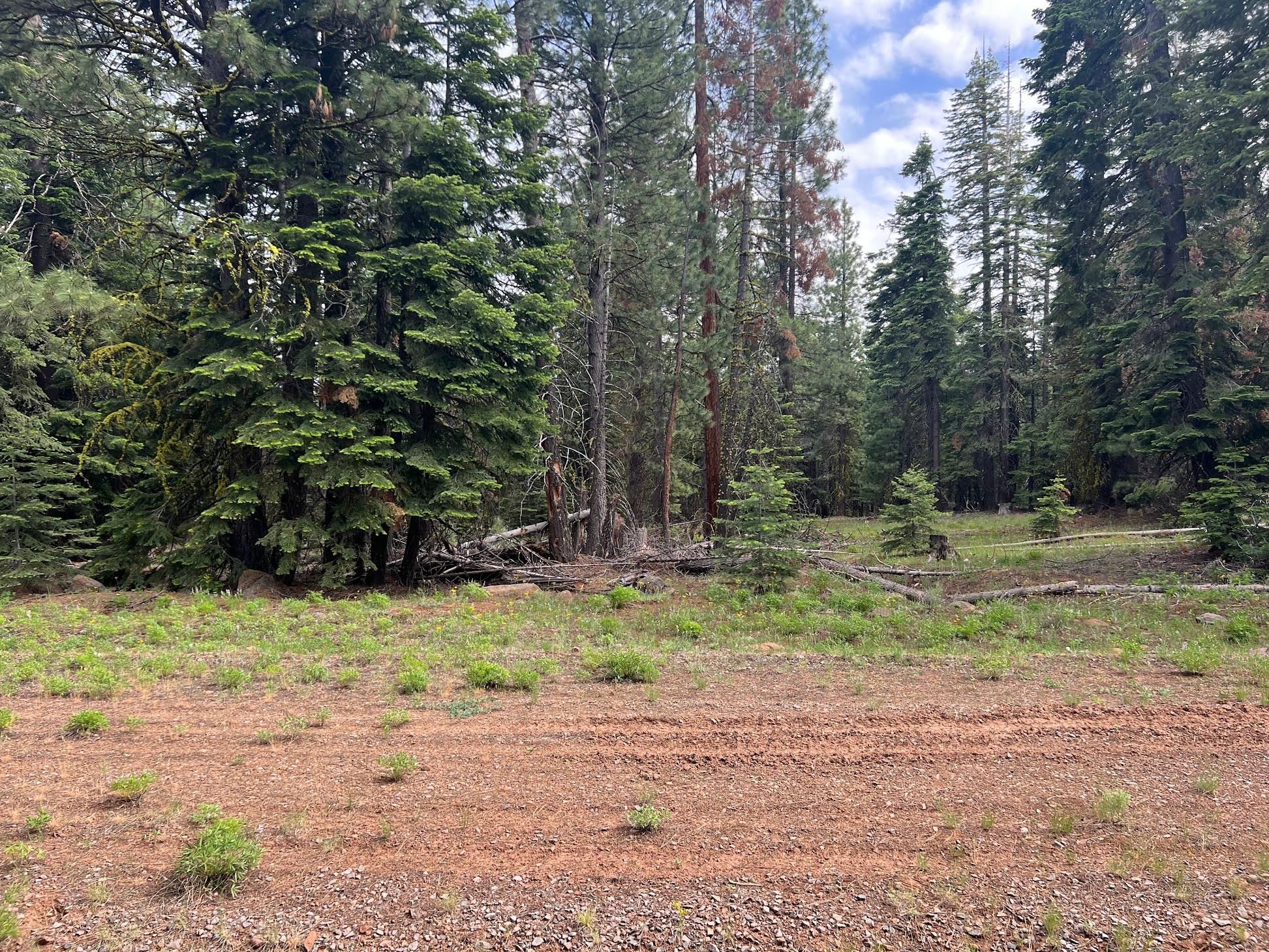 Kettle Place, California Pines, CA 96101 | LandWatch