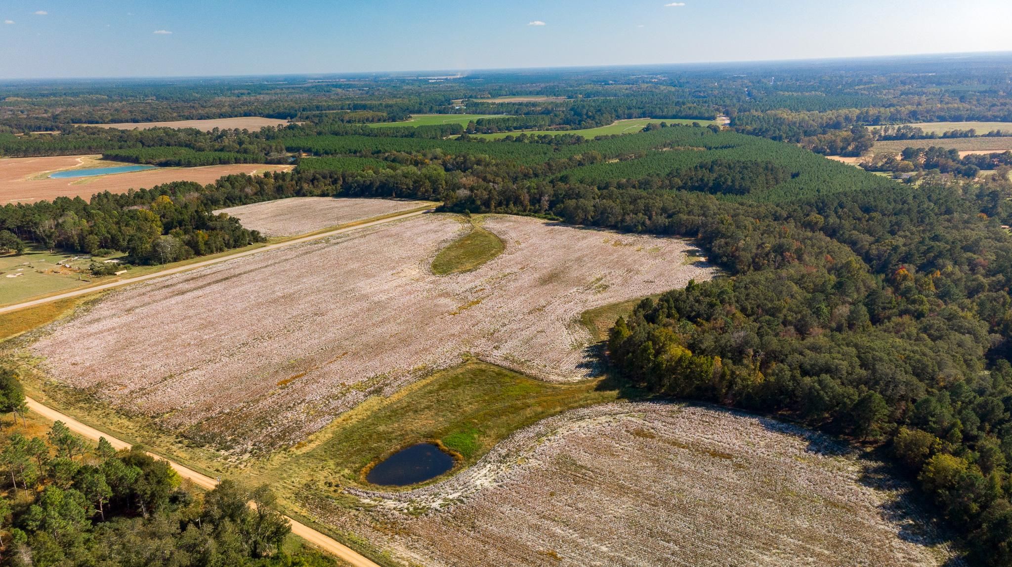 57 acres in Morgan, GA, 39866 | LandWatch
