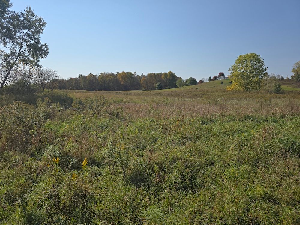 0WP Hogsback Rd, Lot#WP001, Greene, NY 13778 | MLS: 11358095 | LandWatch