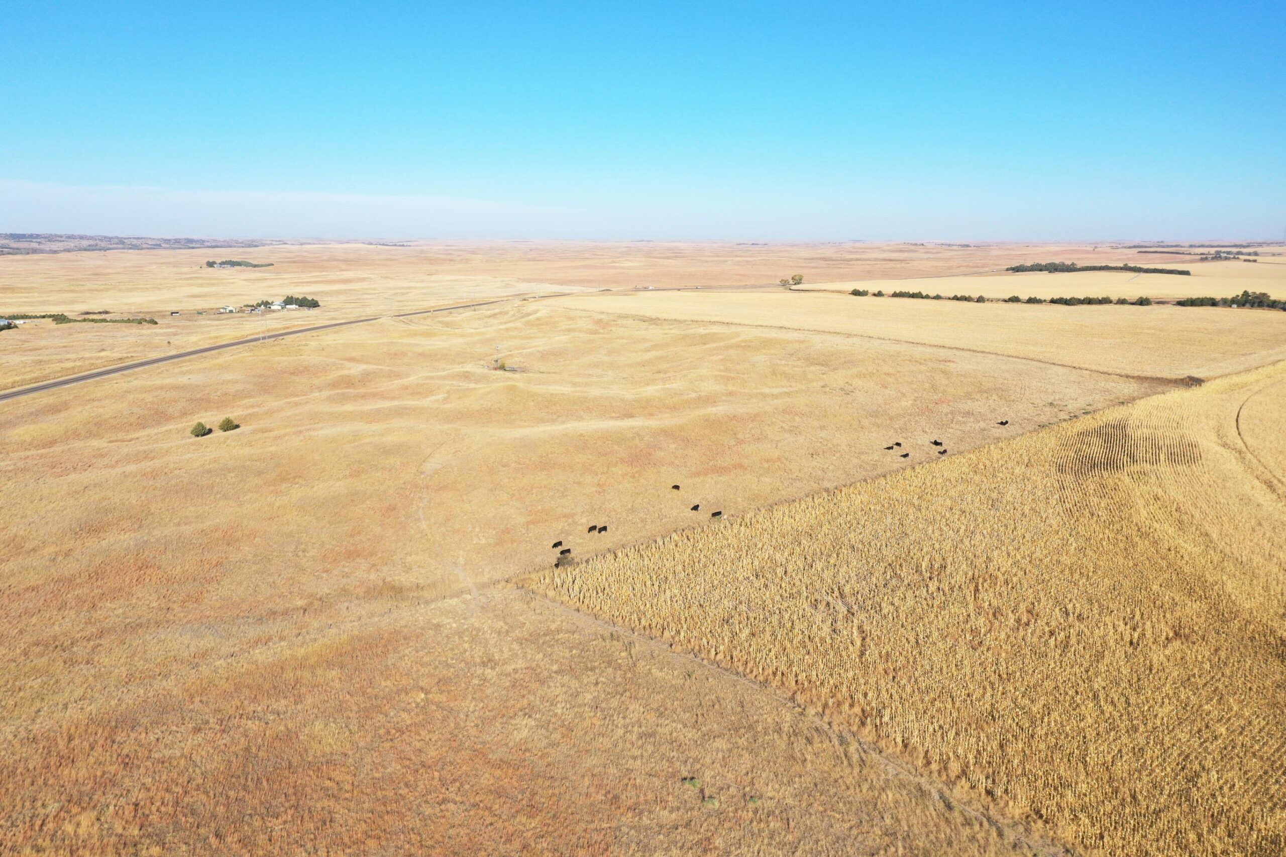 Wellfleet, NE 69170, Wellfleet, NE 69170 | LandWatch