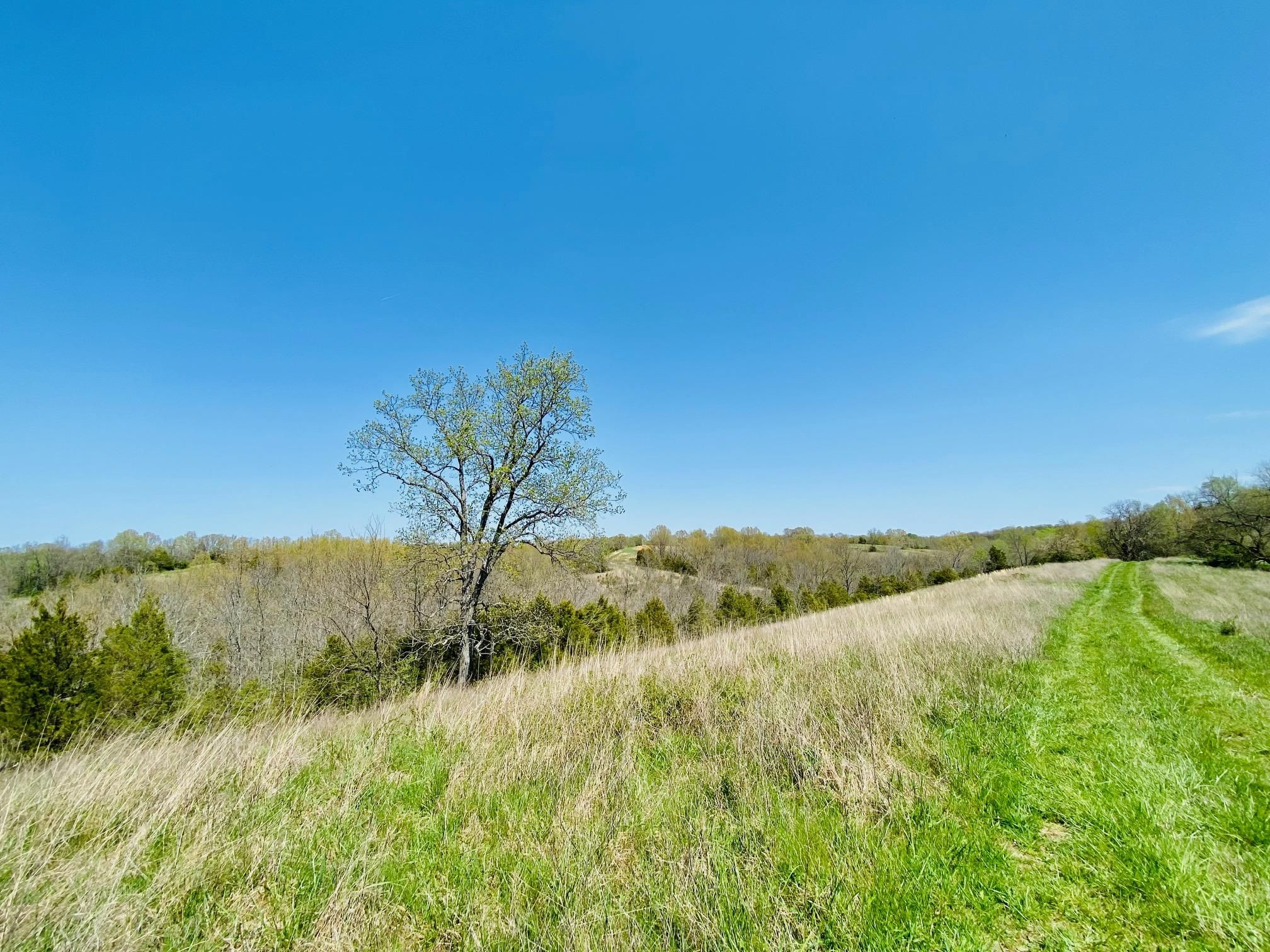 2800 Battle Rd, Mackville, KY 40040 | MLS: 1672368 | LandWatch