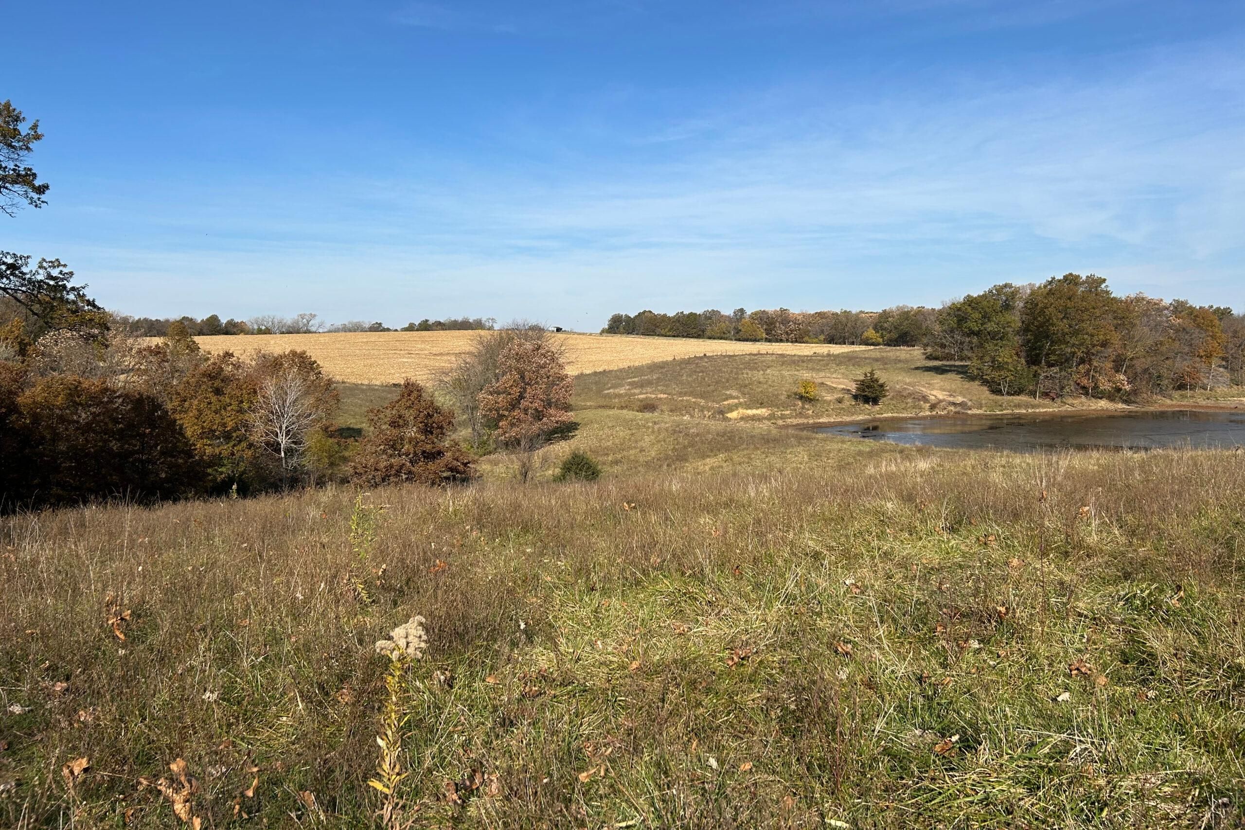 120 acres in Rushville, IL, 62681 | LandWatch