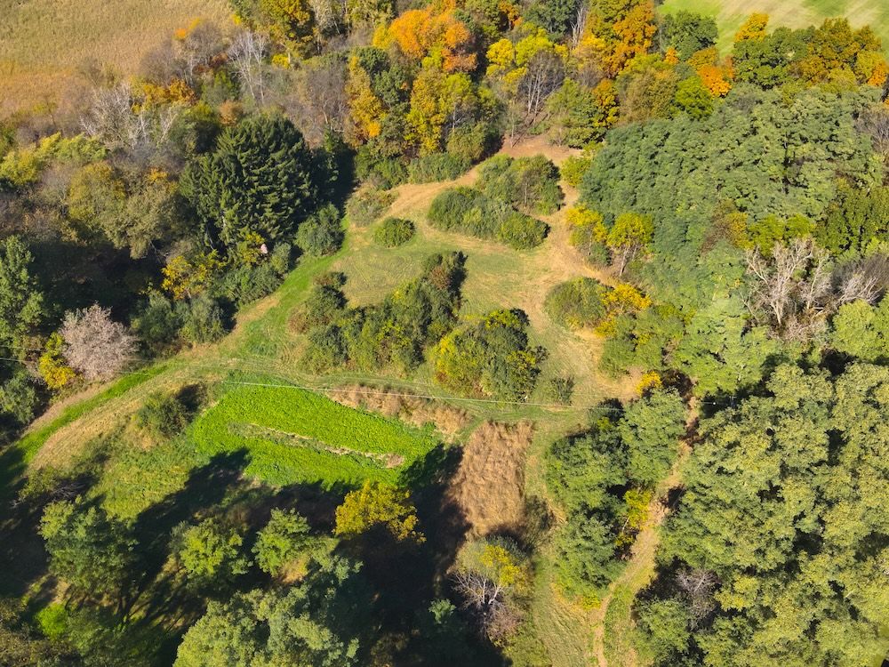 11800 Territorial Road, Munith, MI 49285 | LandWatch