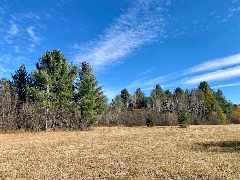 4852 W County Highway 638, Hawks, MI 49743 | LandWatch