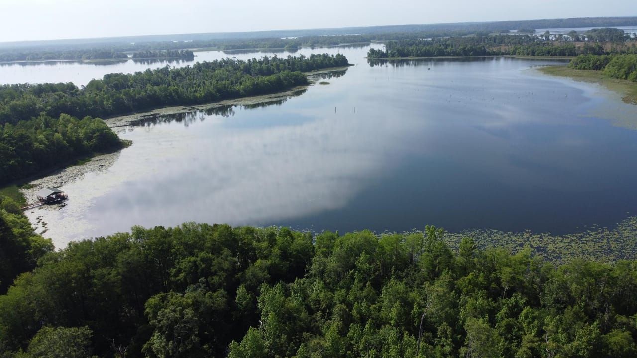 Buddy Adams Parkway, Donalsonville, GA 39845 | LandWatch