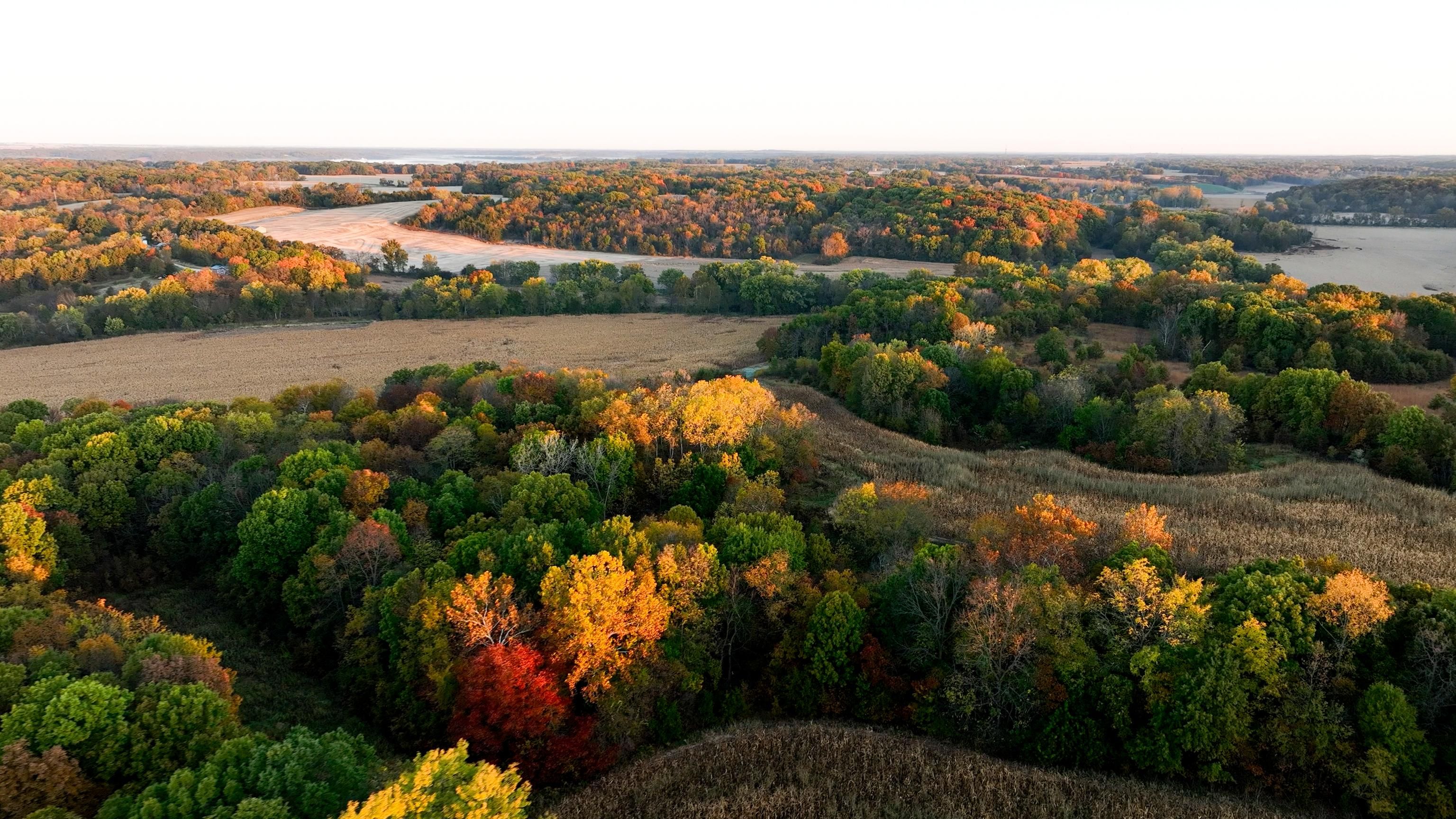 104.5 acres in Smithfield, IL, 61477 | LandWatch