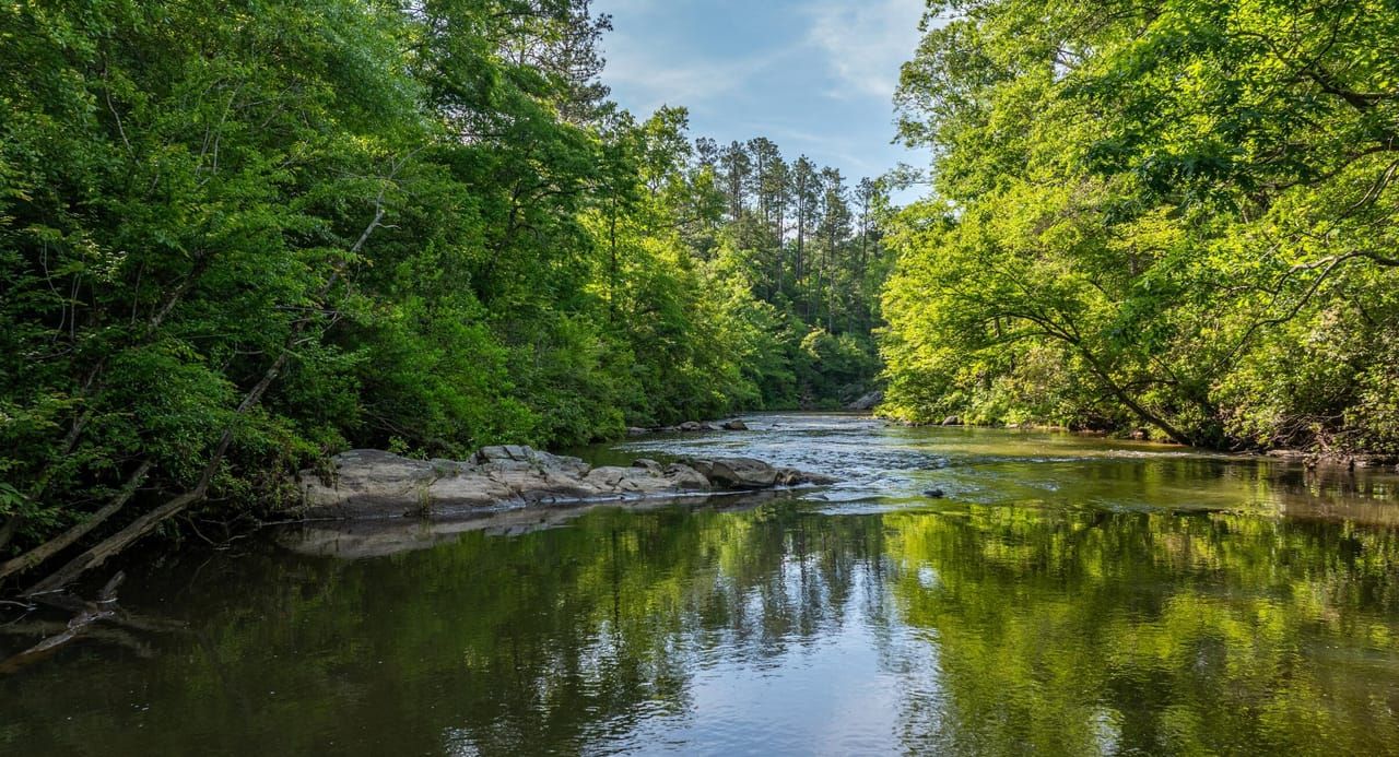 572 acres in Verbena, AL, 36091 | LandWatch