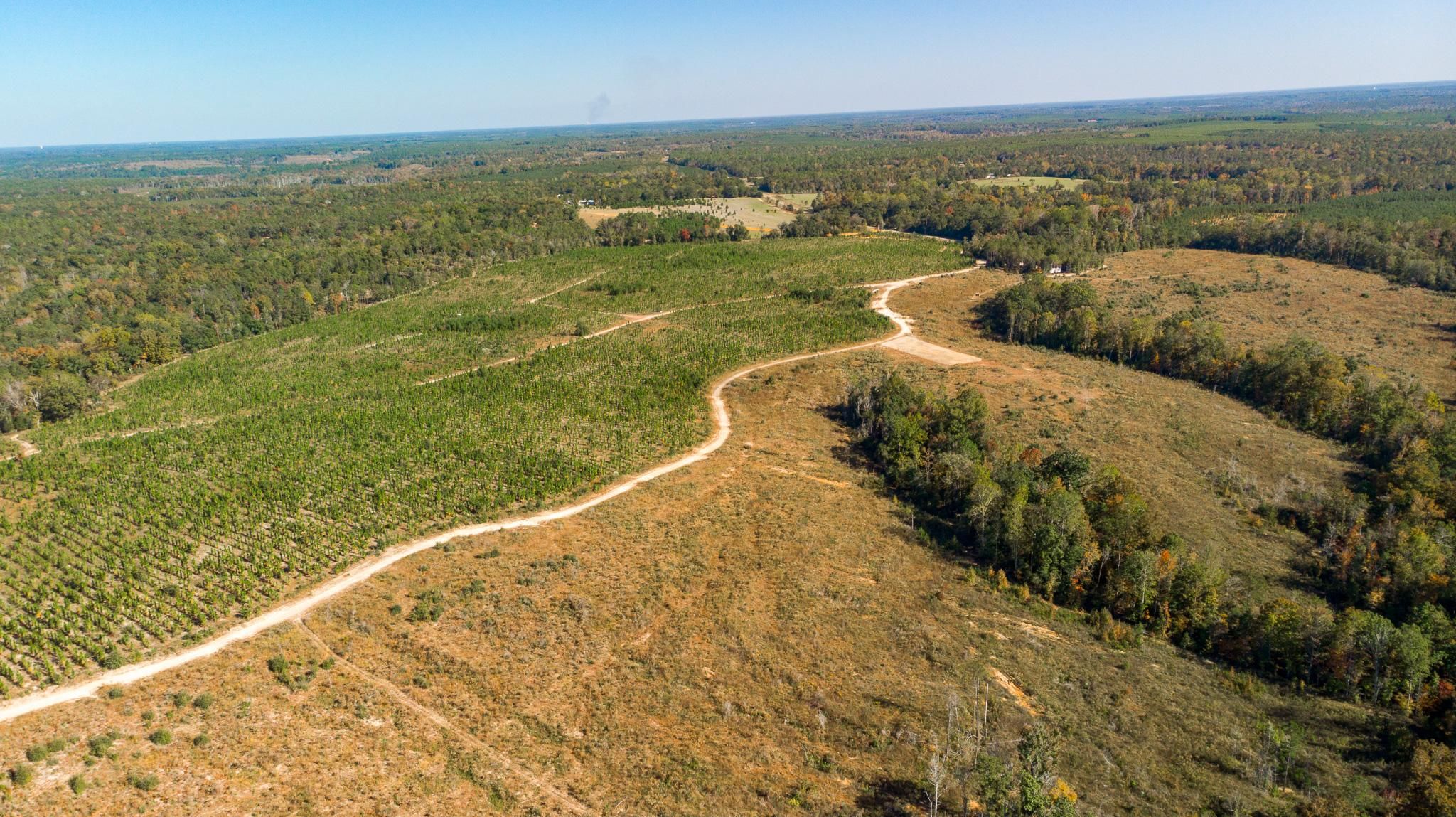 Cotton Hill Road, Morris, GA 39867 | LandWatch