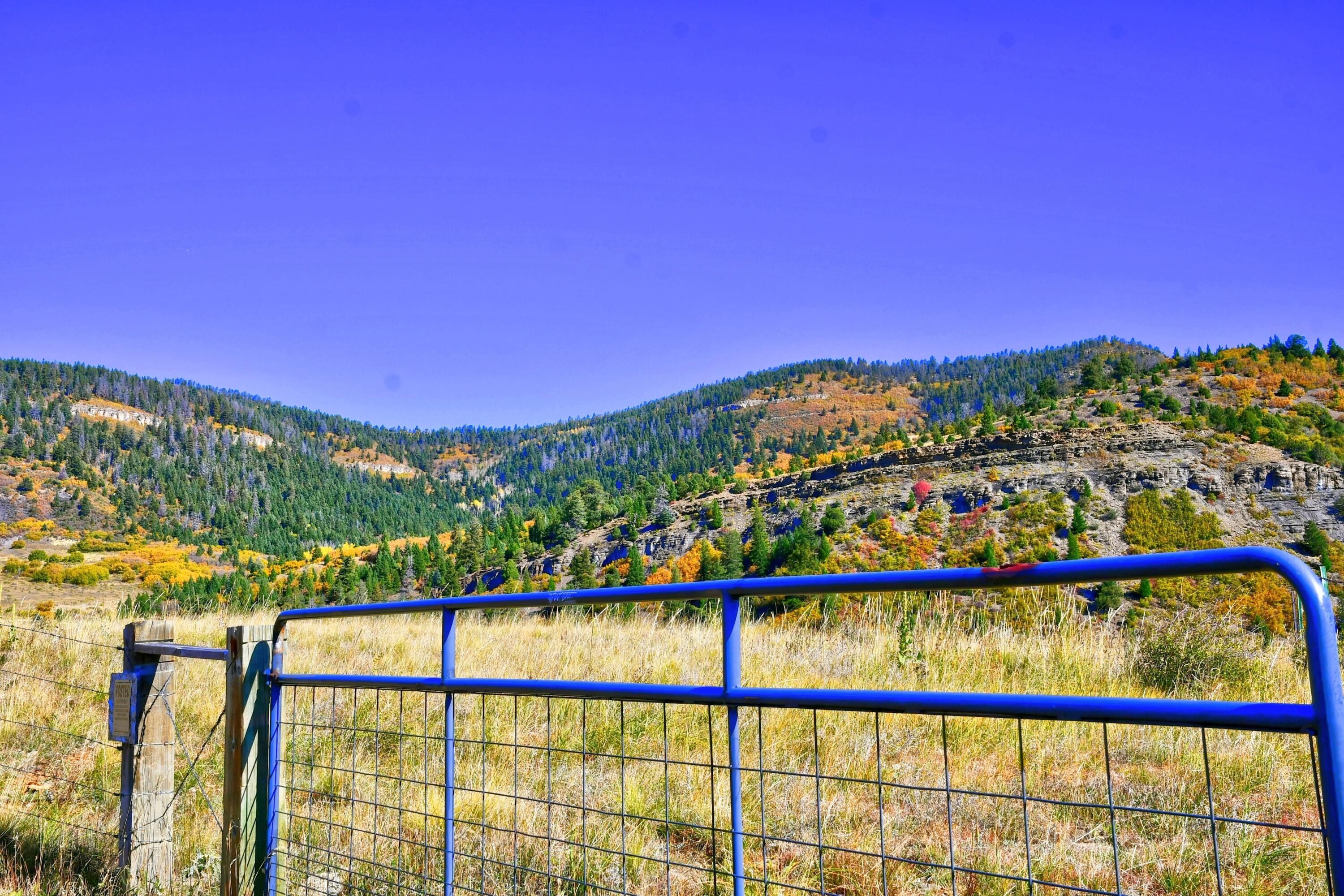 Chacontr3 Creek B008, Mora, NM 87732 | MLS: 1073273 | LandWatch